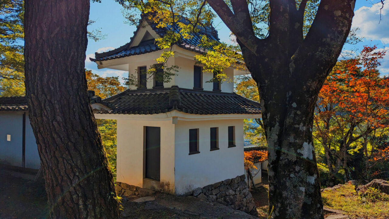 1-Day Tour from Takayama: Gujo Hachiman -History, Traditions and Crafts ...