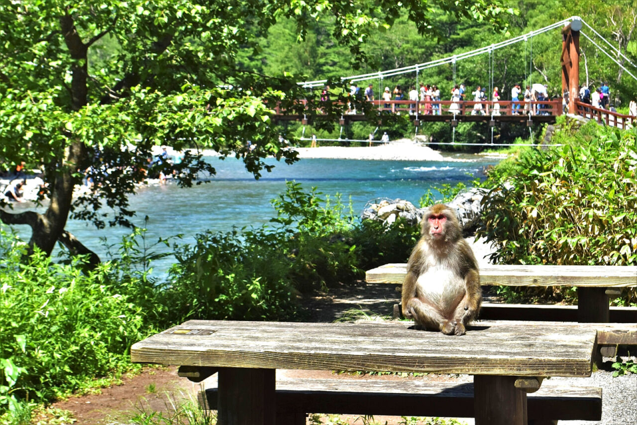 Kamikochi - SNOW MONKEY RESORTS