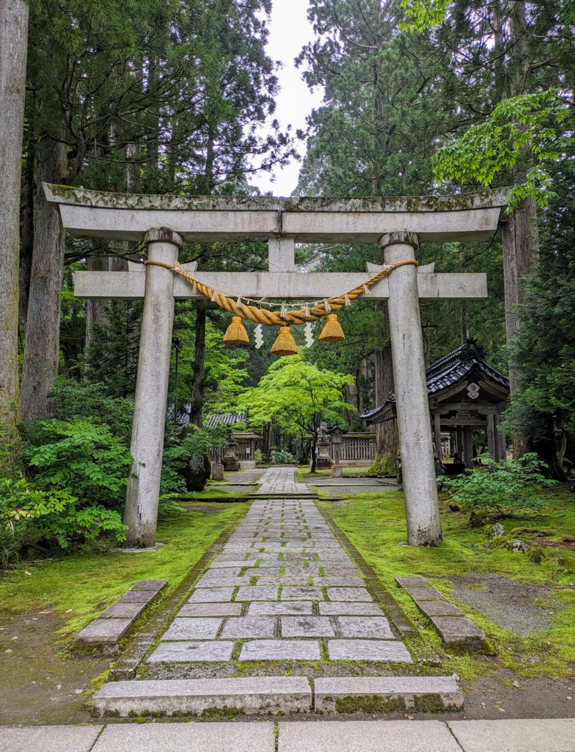 Japan in May 2026 – What to Know - Snow Monkey Resorts