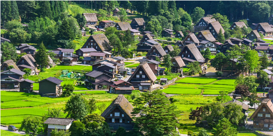 Welcome to SNOW MONKEY RESORTS! | Nagano, Japan