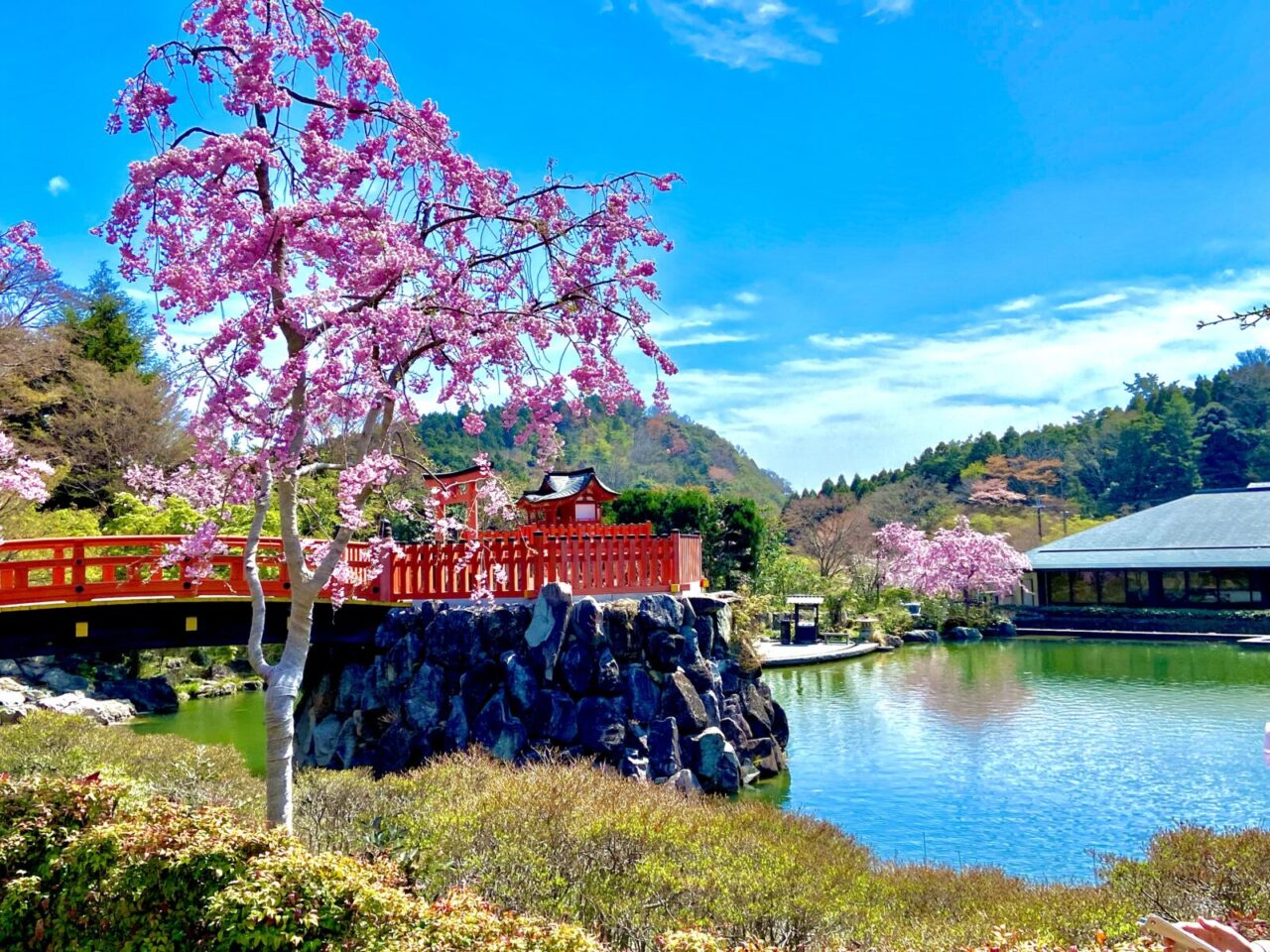 Osaka's Secret Adventures: Discover Daruma Magic and the Beauty of Minoh Falls - SNOW MONKEY RESORTS