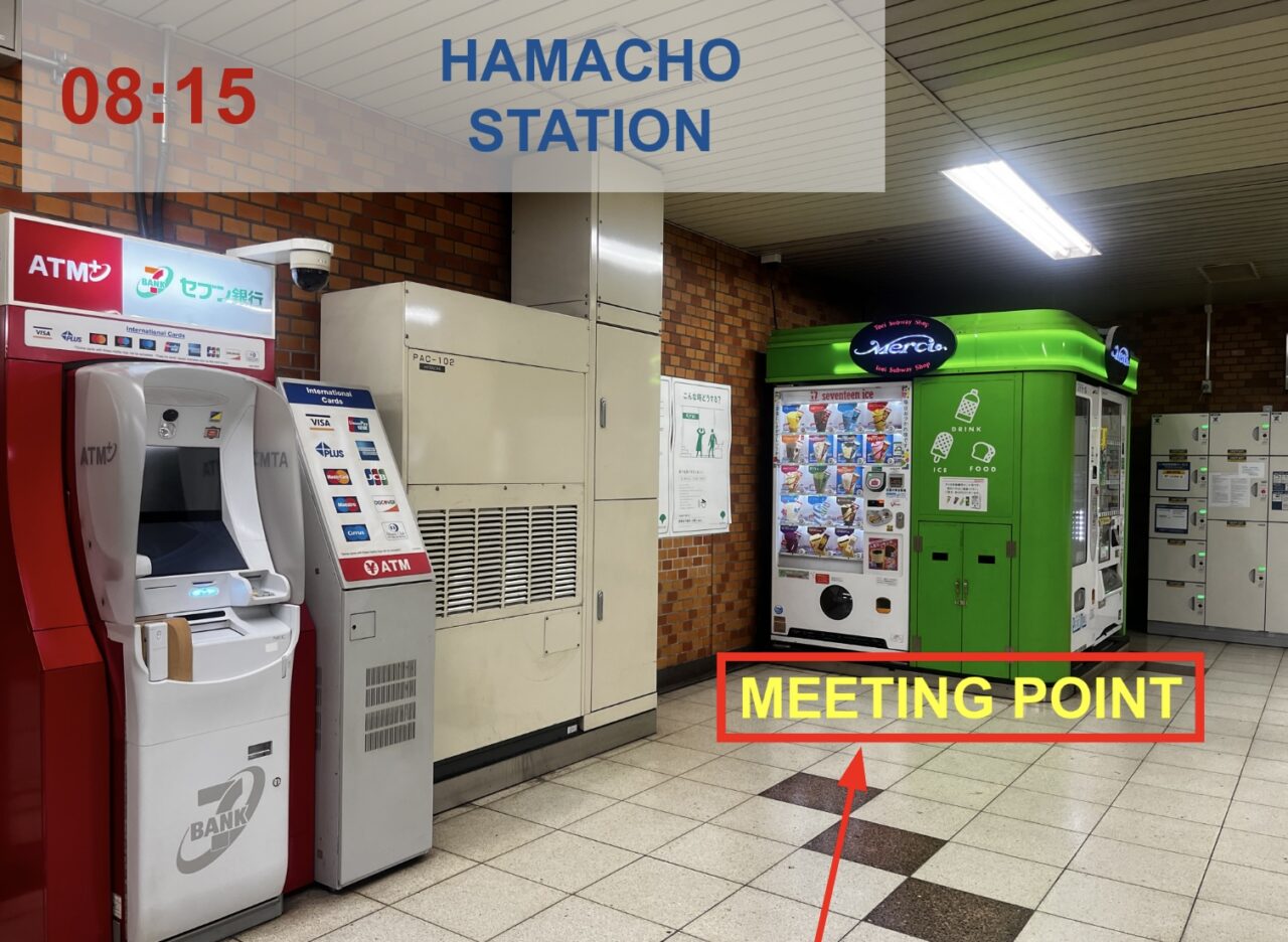 Tokyo Highlights Tour : Sumo, Sushi, Tea, Temples and Tokyo Tower ...