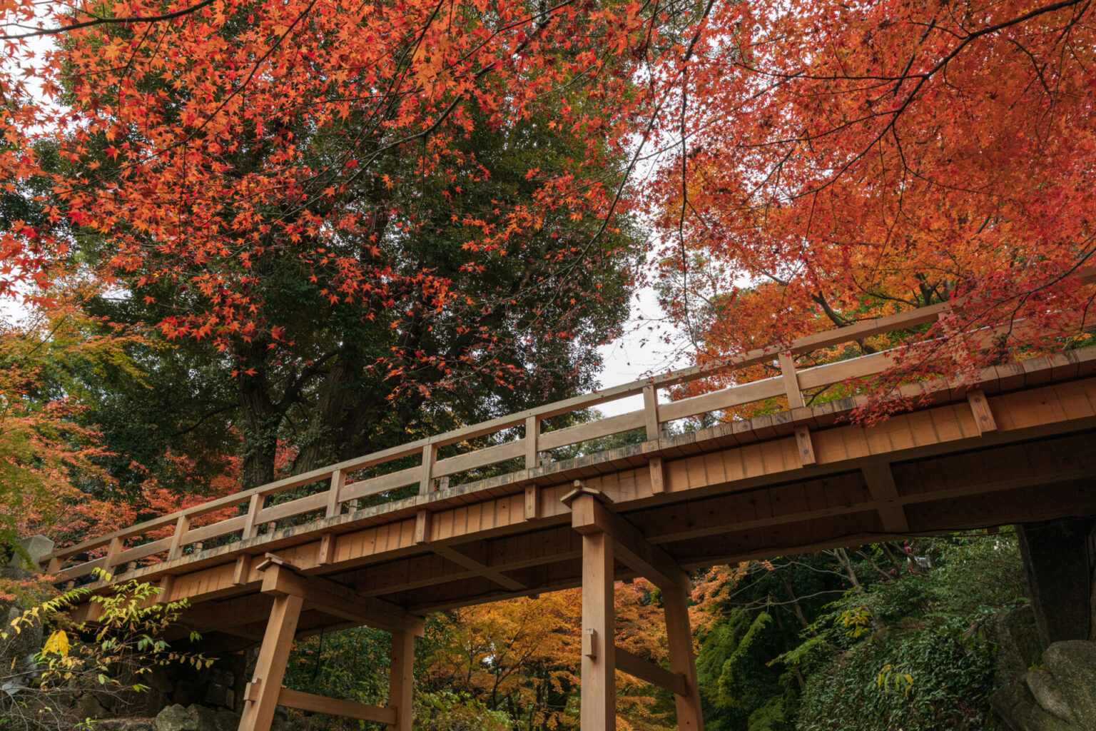 Nagoya in December 2025 - What to Know - Snow Monkey Resorts