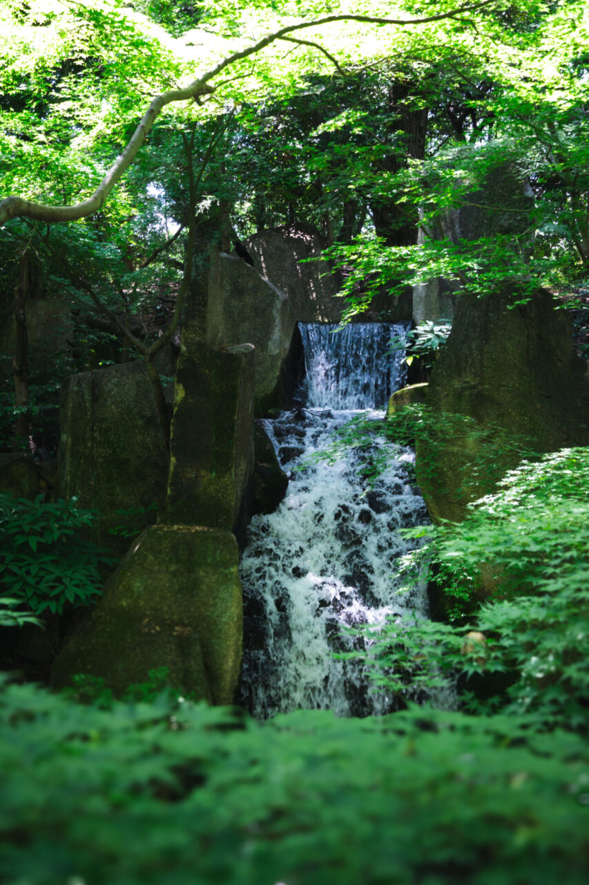 35 Things to Do Around Nagoya & Where to Stay - SNOW MONKEY RESORTS