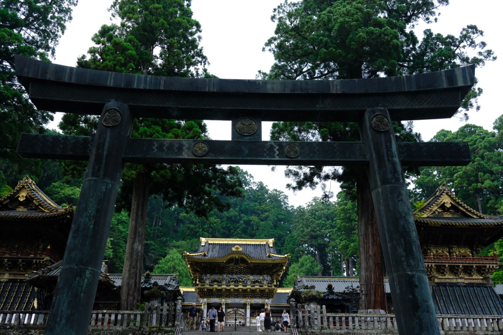 Nikko Toshogu Shrine Complex - SNOW MONKEY RESORTS