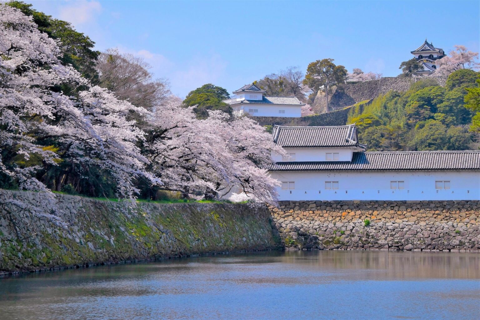 Hikone Castle - SNOW MONKEY RESORTS