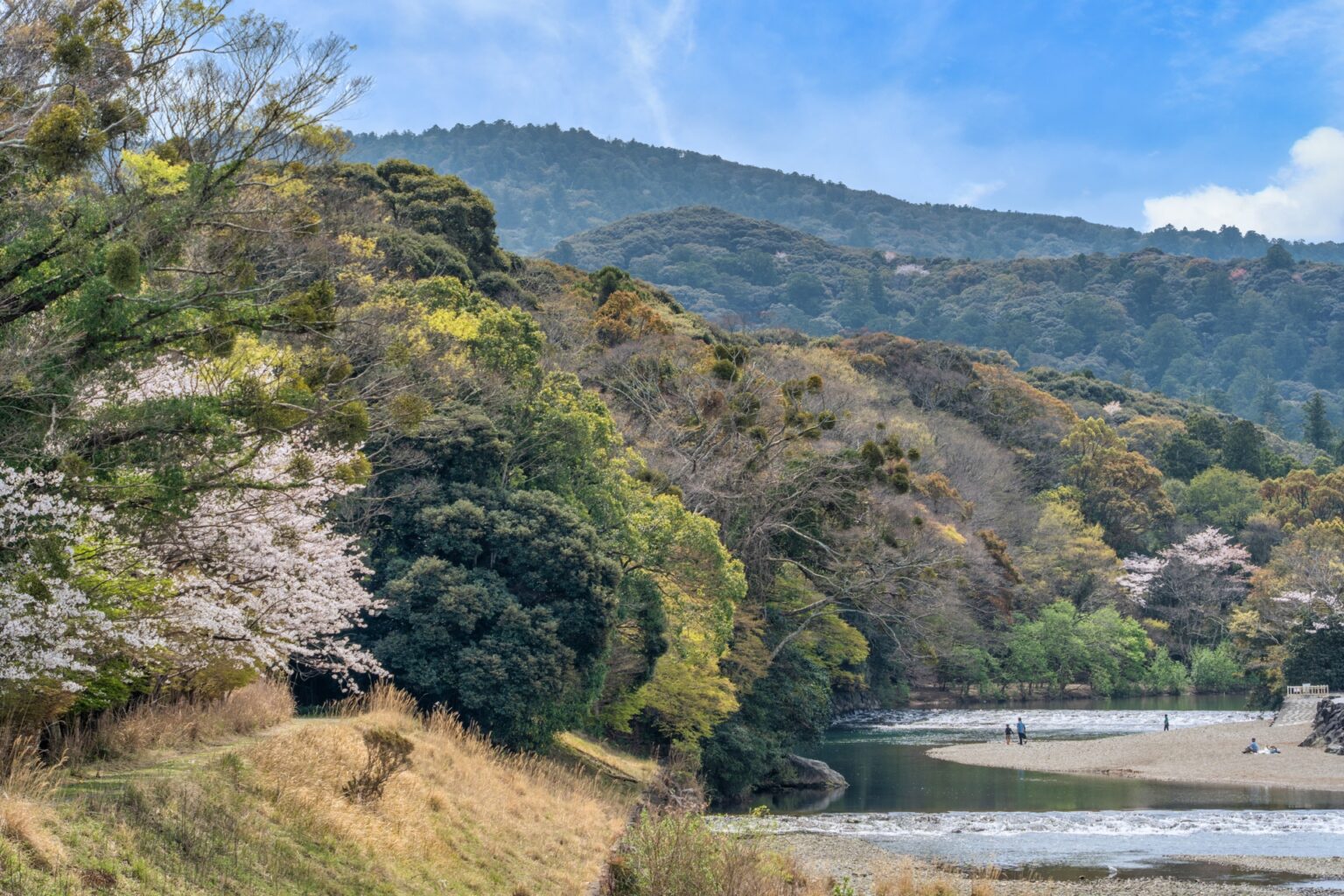 1-Day Tour from Nagoya: Ise’s Sacred Shrines and Captivating Coastlines ...