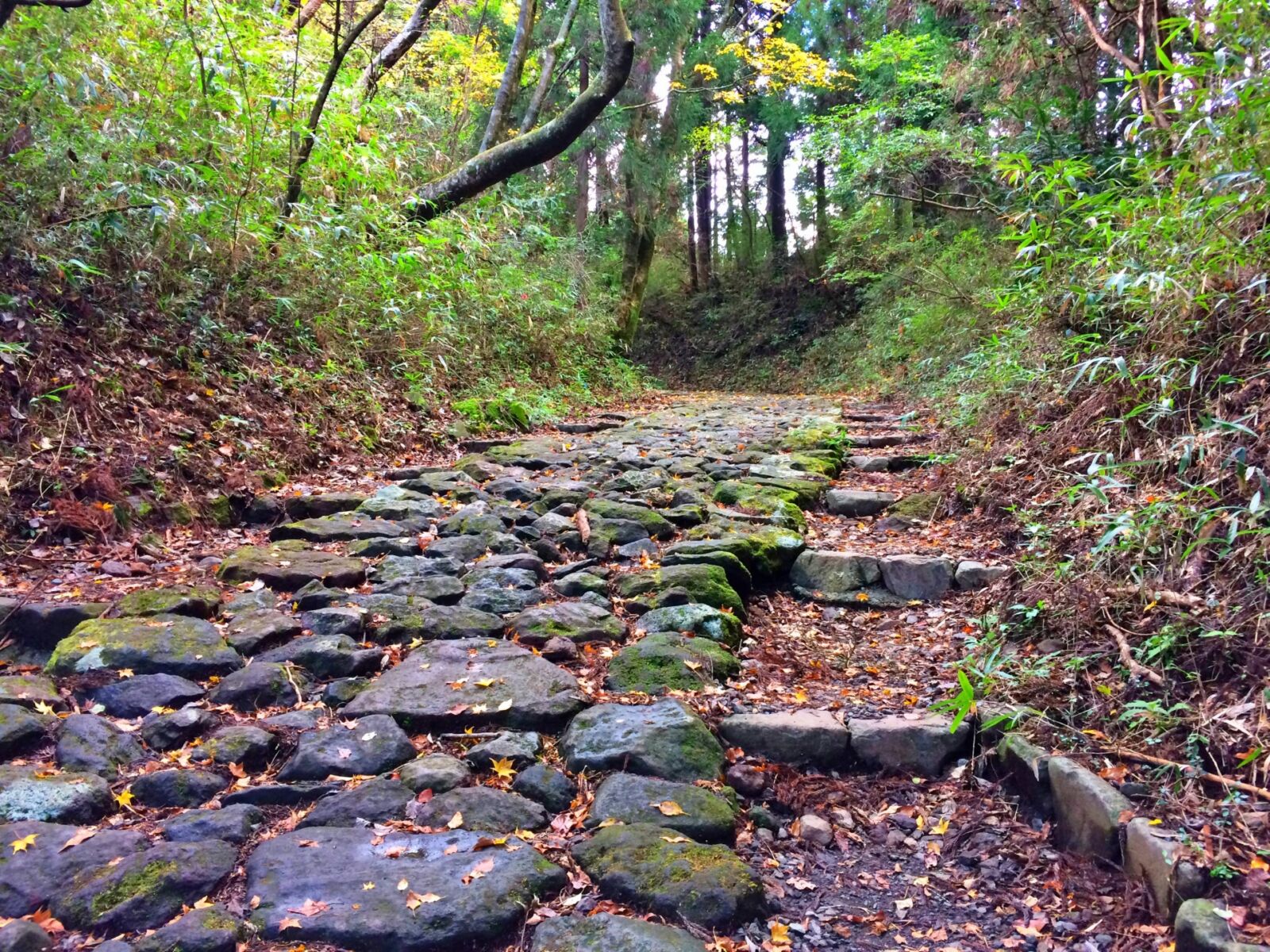 Walk the Tokaido Trail - SNOW MONKEY RESORTS