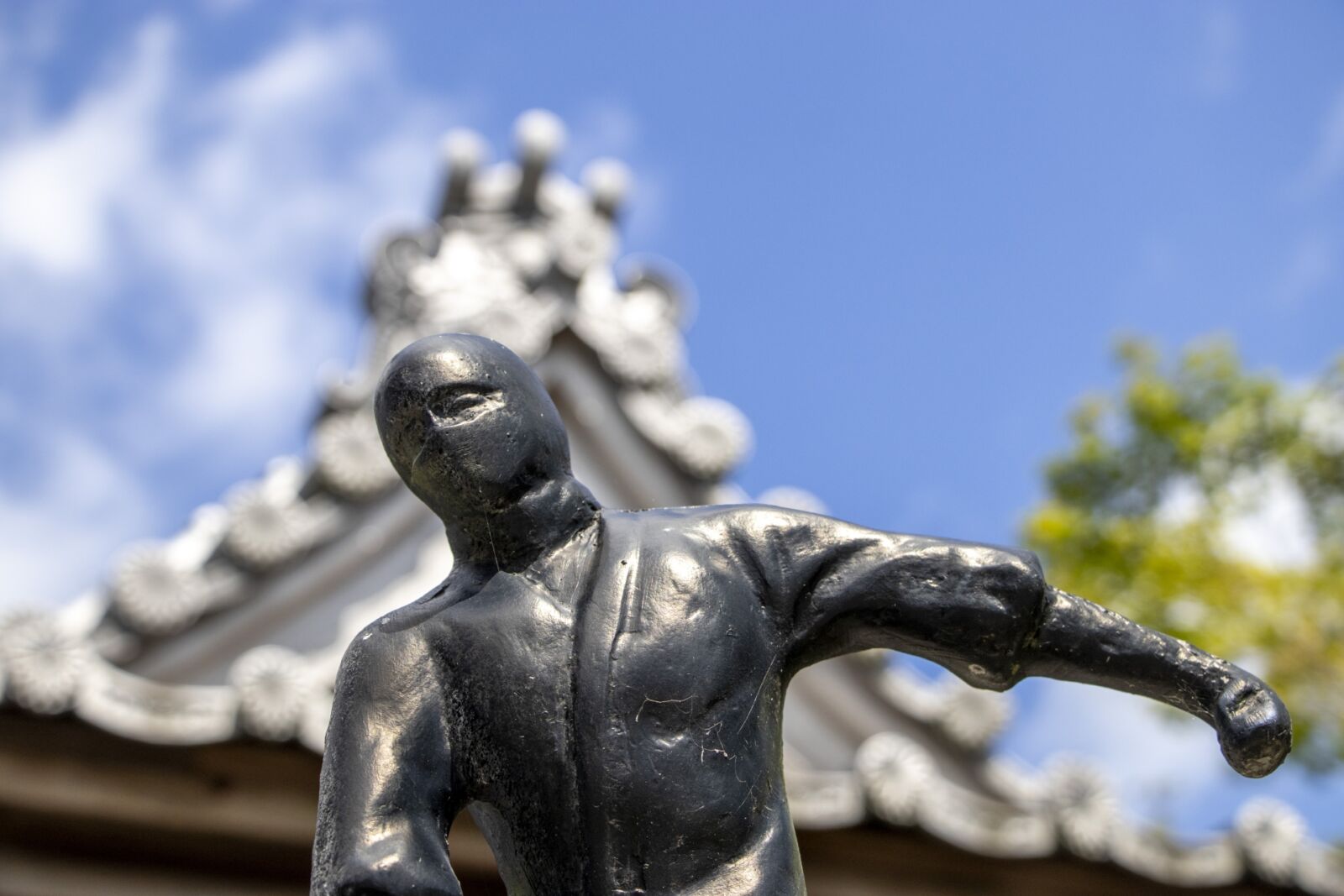 Land of Ninja: Koka - Snow Monkey Resorts