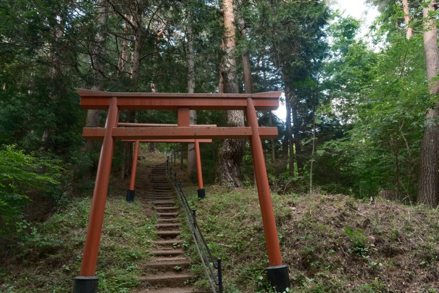 Kawaguichi Asama Shrine & Tenku no Torii - Snow Monkey Resorts