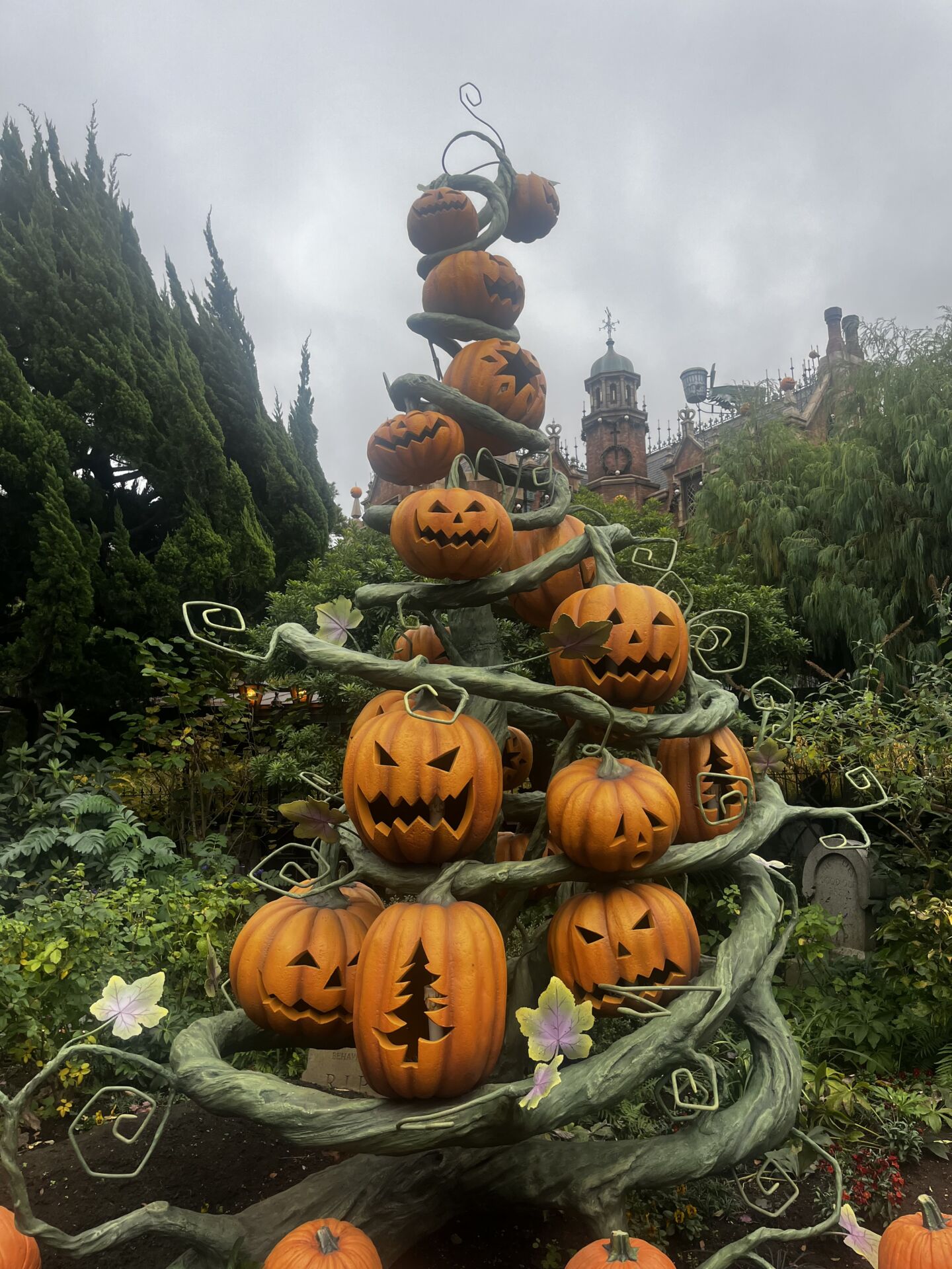 Tokyo Disneyland and Disneysea - SNOW MONKEY RESORTS