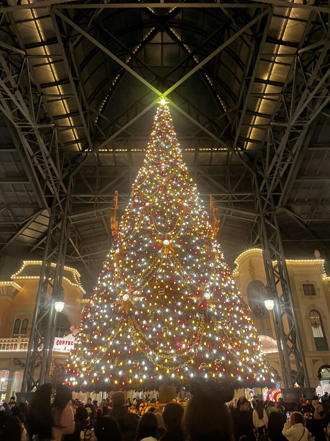 Tokyo Disneyland and Disneysea - SNOW MONKEY RESORTS