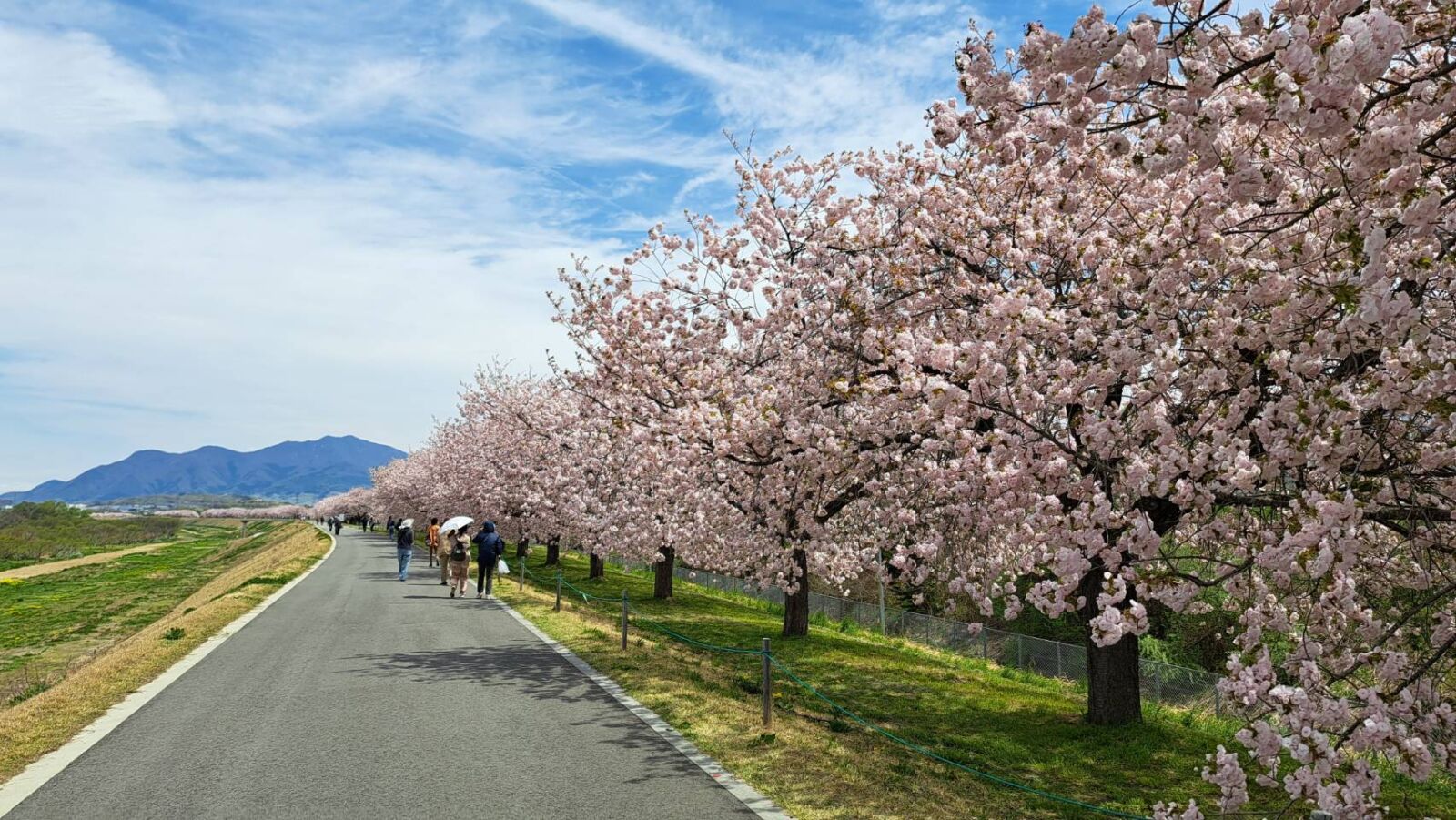 Best Places to Visit in Nagano During Spring - Snow Monkey Resorts