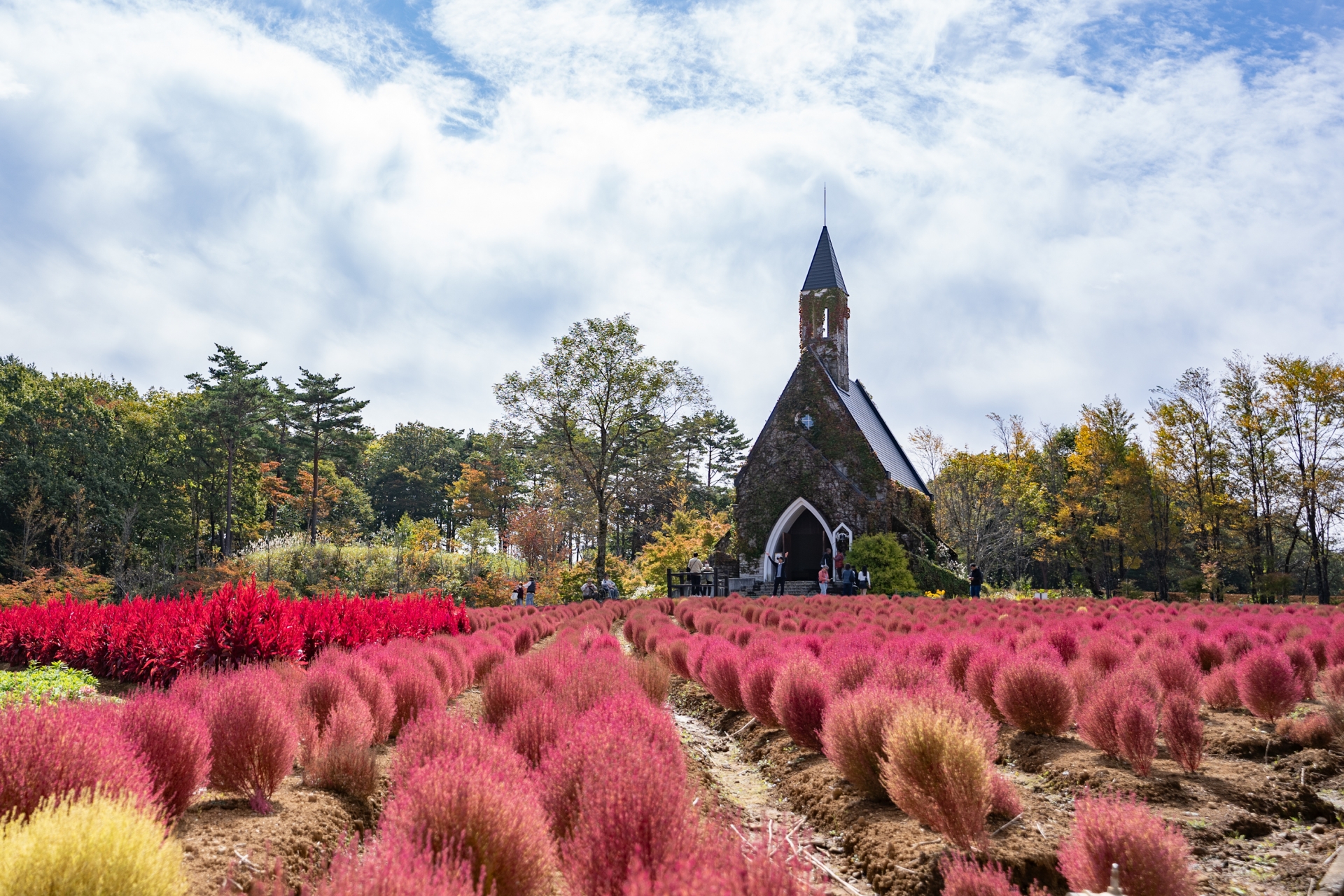 Embrace Nature and Fun at Bokka-no-Sato: A Hidden Gem in Gifu ...