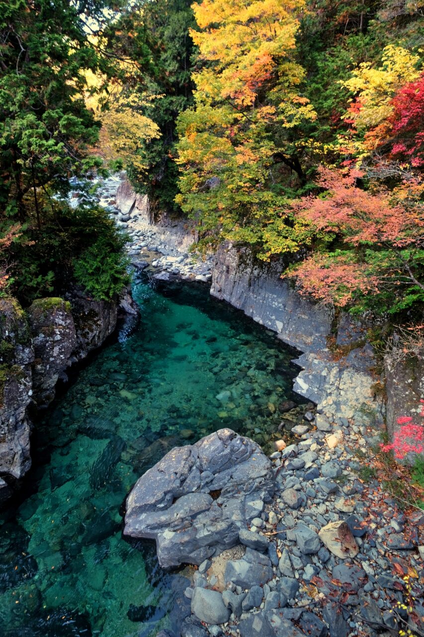 6 Stunning Spots for Autumn Leaves Near Nagoya - SNOW MONKEY RESORTS