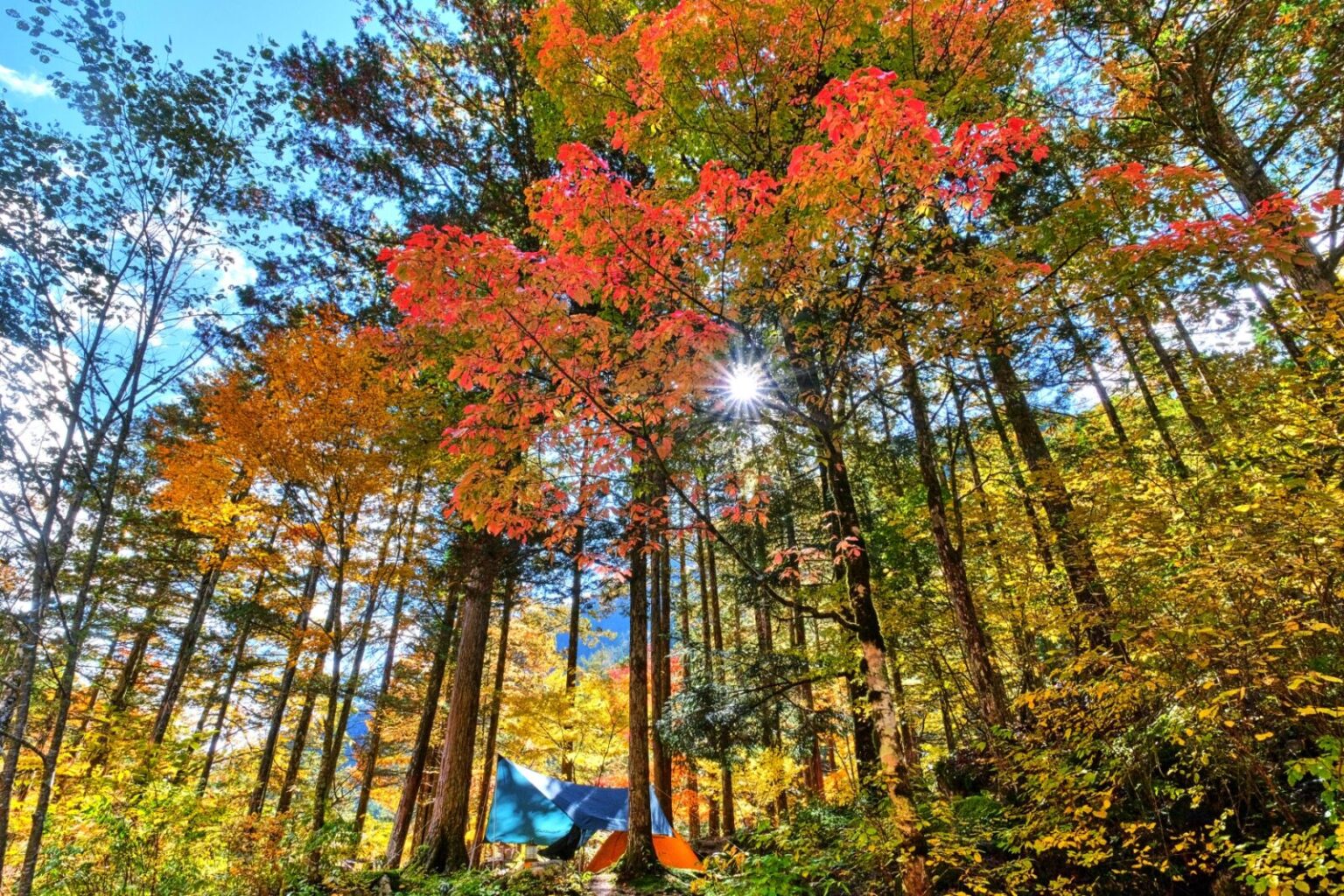 6 Stunning Spots for Autumn Leaves Near Nagoya - SNOW MONKEY RESORTS