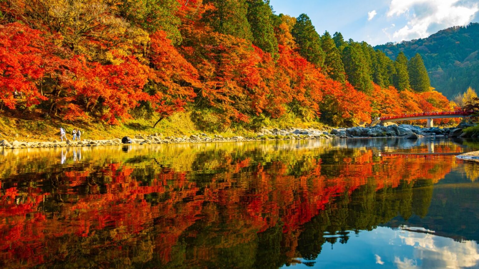 6 Stunning Spots for Autumn Leaves Near Nagoya - SNOW MONKEY RESORTS