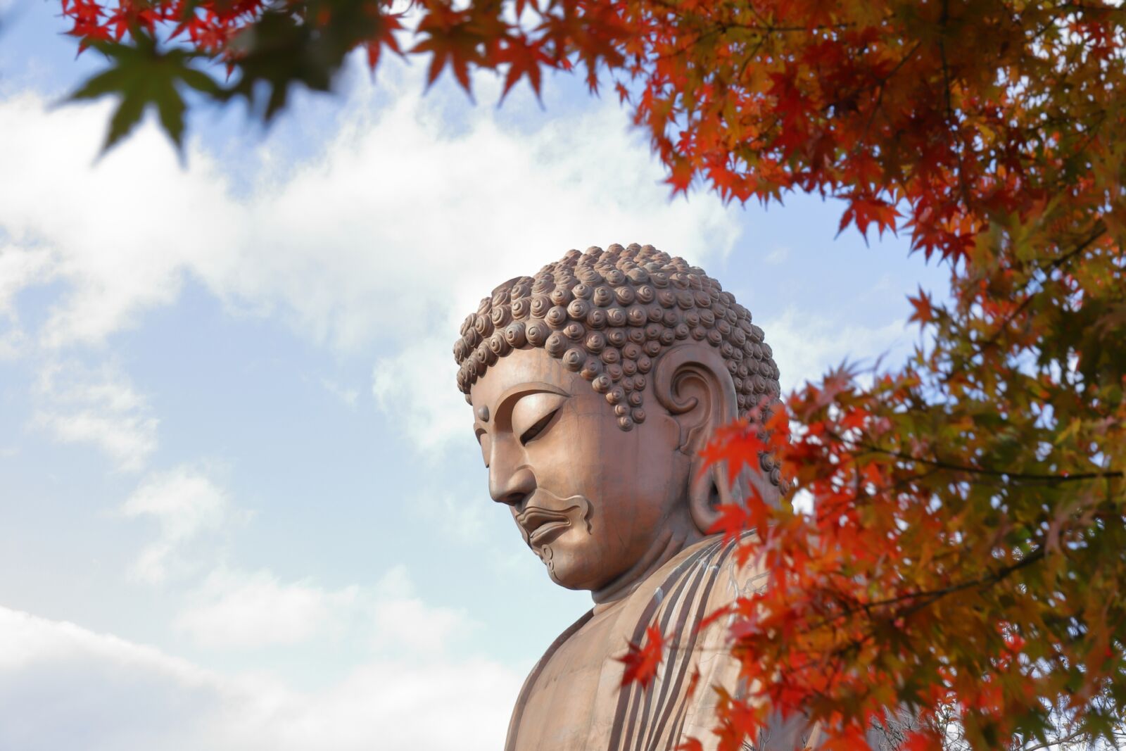 Nagoya in October 2025 - What to Know - Snow Monkey Resorts