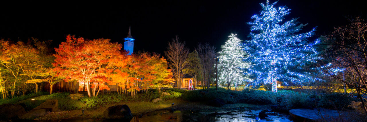 Winter Escapes: Nagoya's 7 Best Spots for Snow and Winter Activities ...