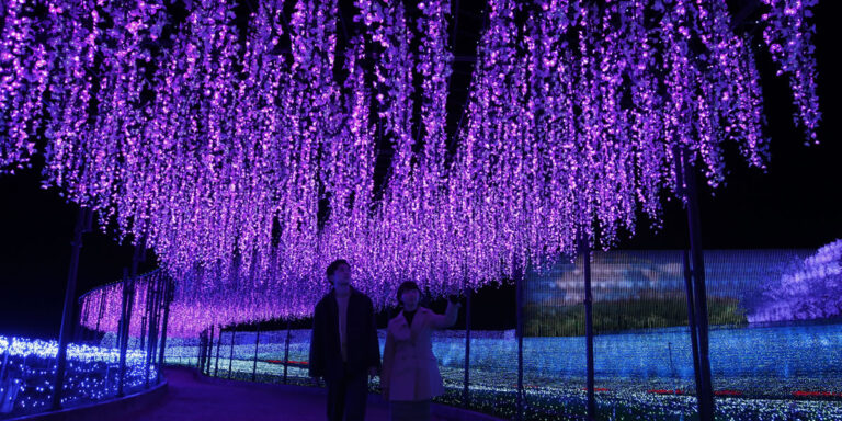 Winter Escapes: Nagoya's 7 Best Spots for Snow and Winter Activities ...