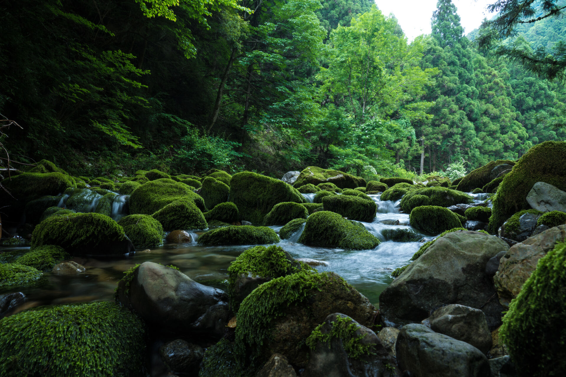 Best Hiking Trails Near Nagoya - Snow Monkey Resorts