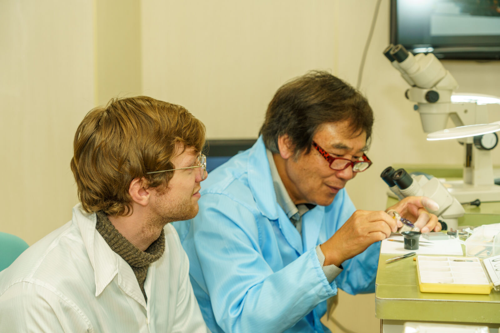 Create a Timeless Masterpiece: Mechanical Watch-Making Experience in ...