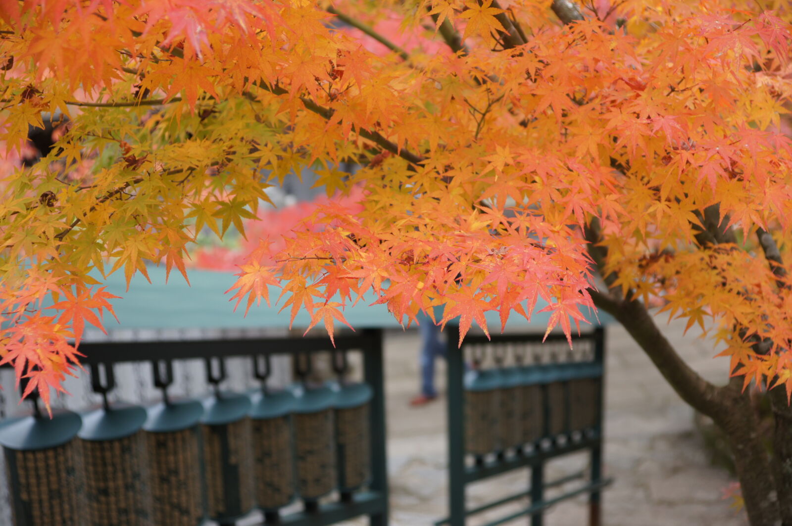Daisho-in Temple: Miyajima's Hidden Gem - Snow Monkey Resorts