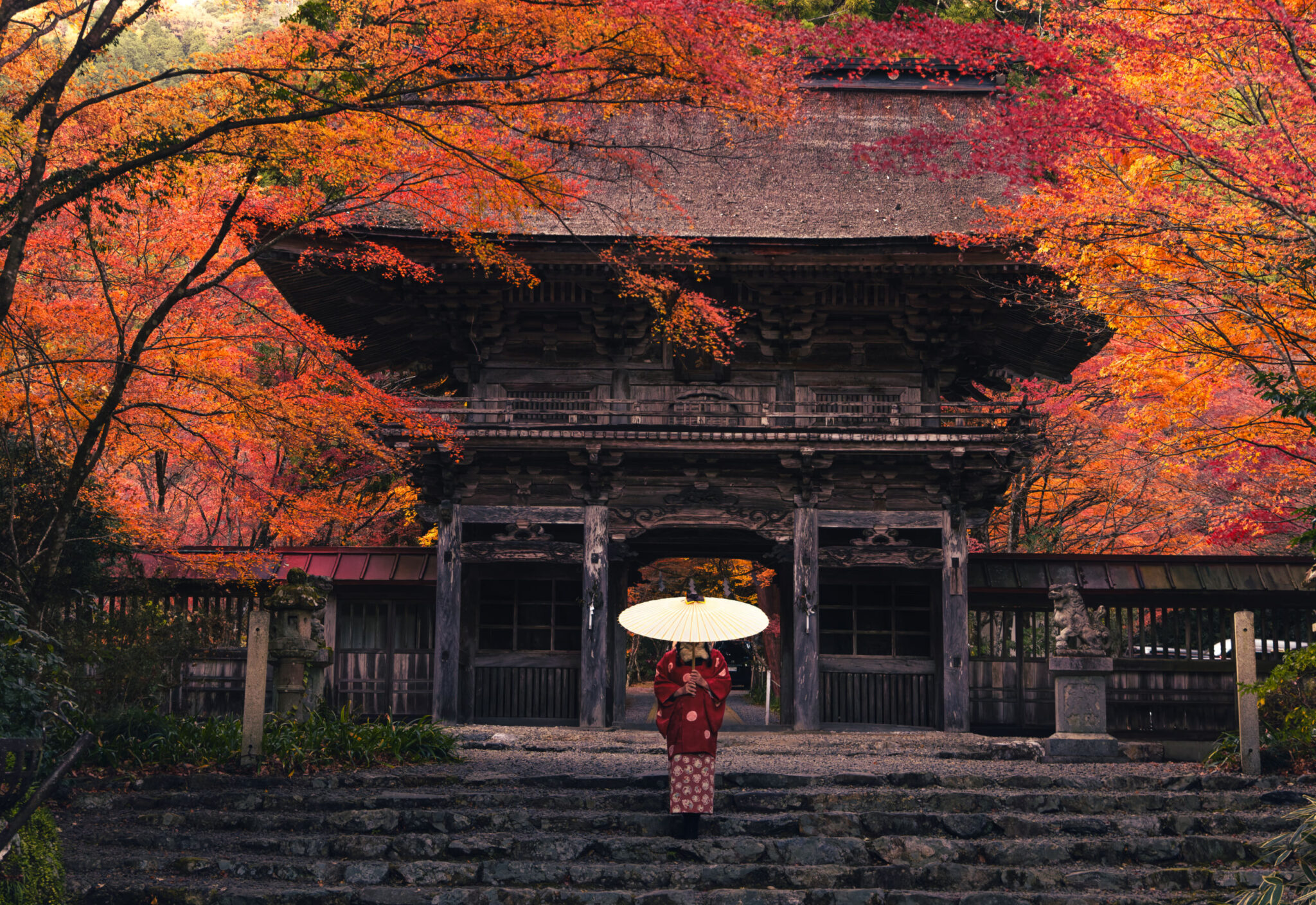 Best Tours and Itineraries around Nagoya - Snow Monkey Resorts