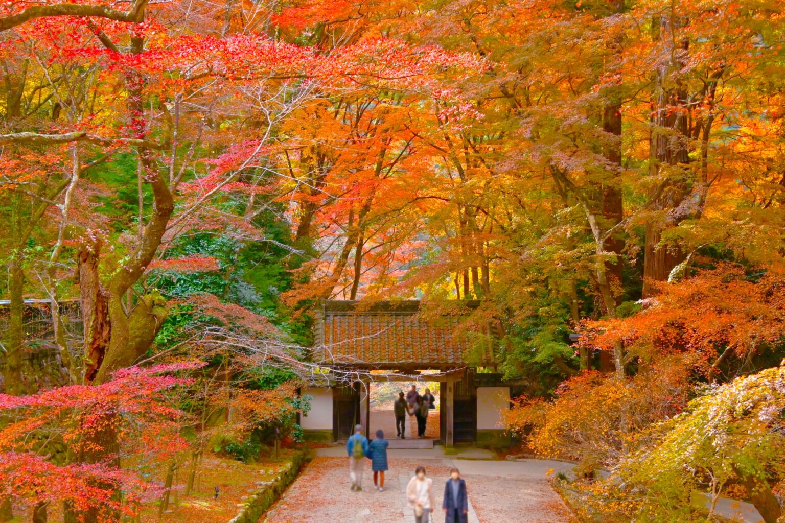 Nagoya in November 2025 - What to Know - Snow Monkey Resorts