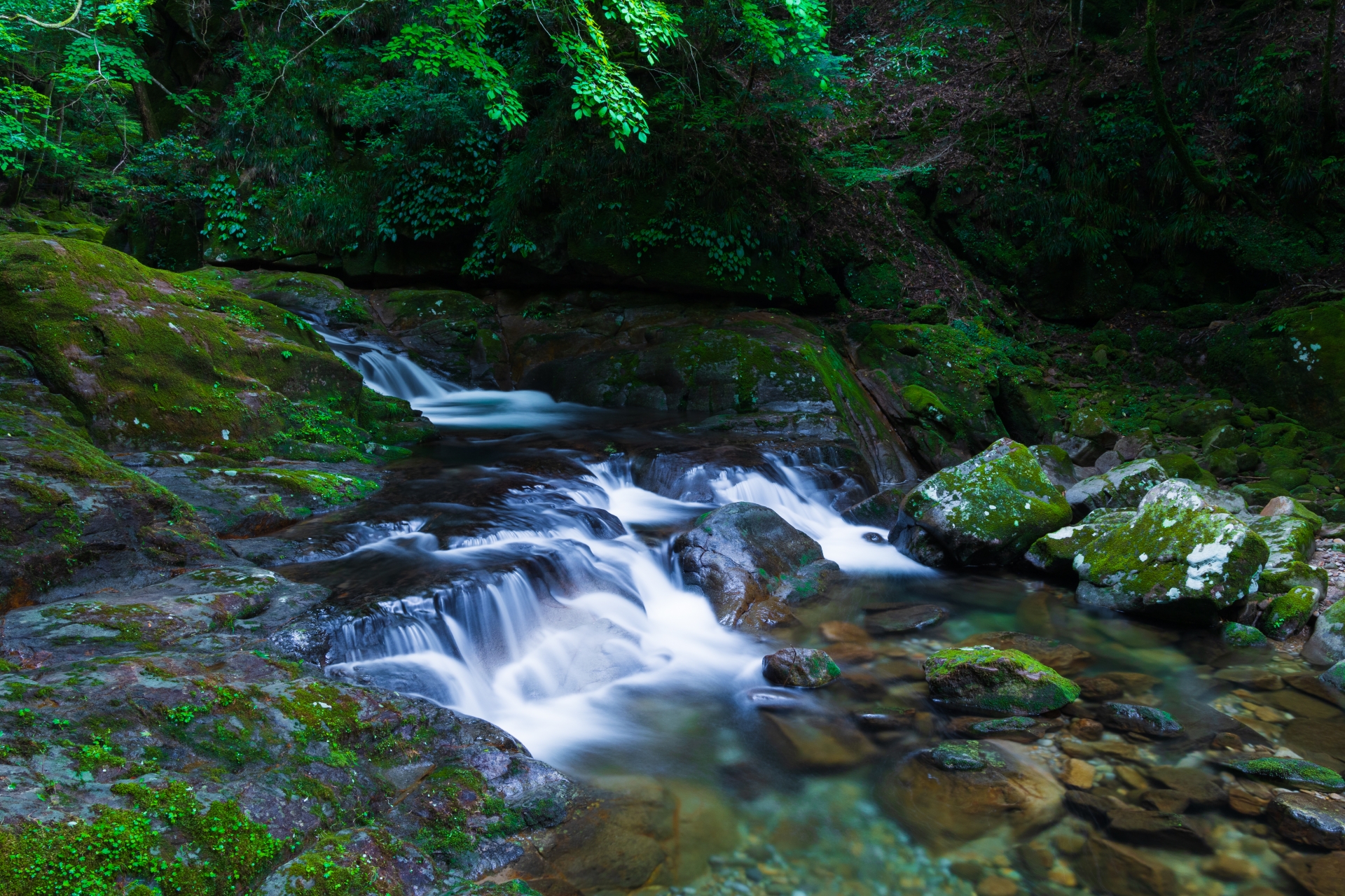 Hike the Akame 48 Waterfalls Trail - Snow Monkey Resorts