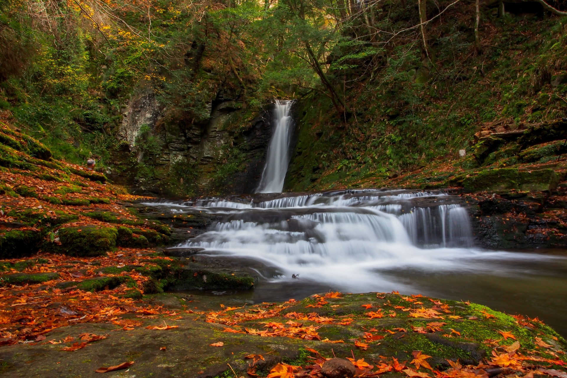 1-Day Tour from Nagoya: Soni Highlands & Akame 48 Waterfalls Hike ...