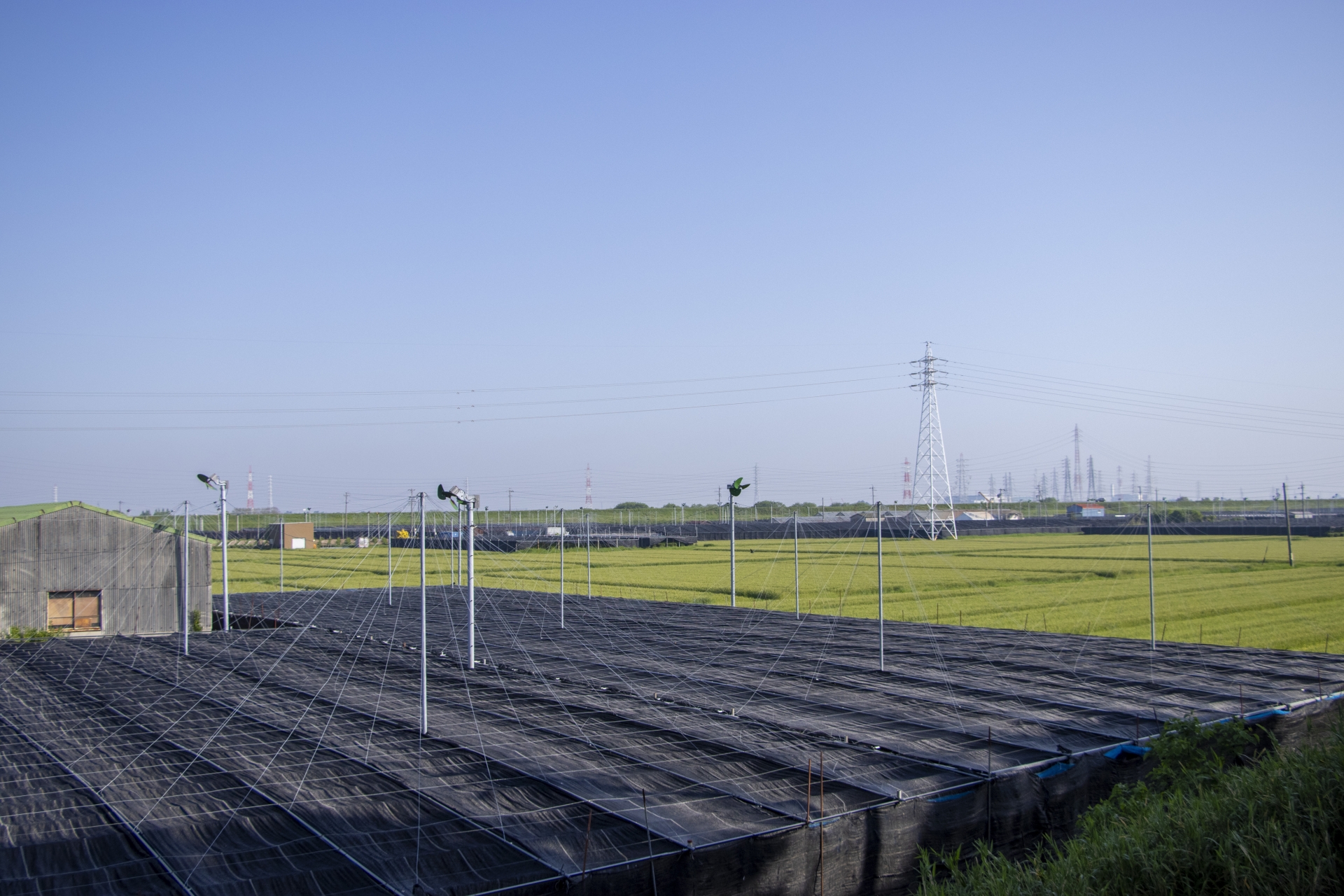 1-Day Tour from Nagoya: Wagashi Workshop & Matcha Tea Field Tour - Snow ...