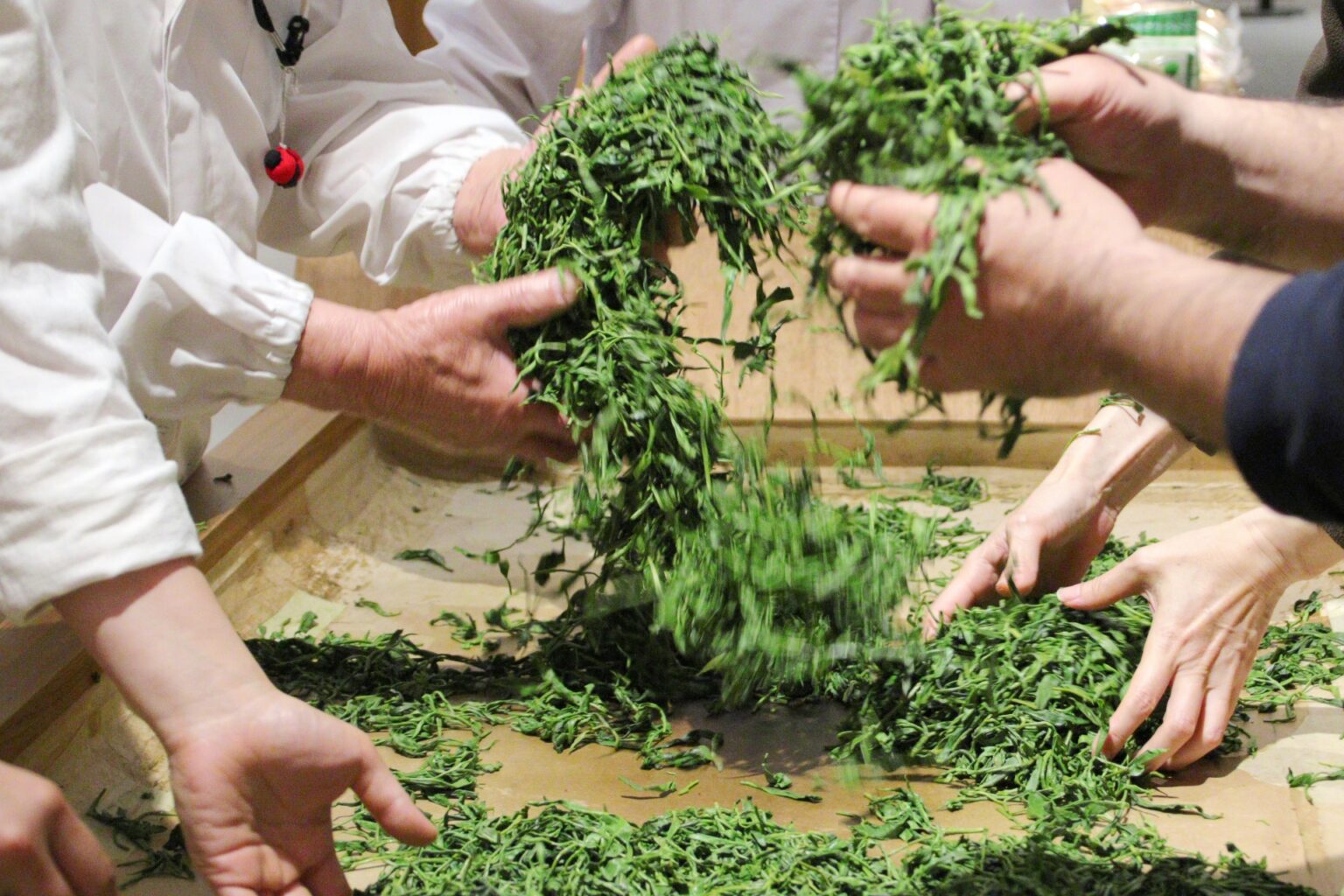 Best Tea Ceremony Destinations in Japan: Gardens, Temples, and Hidden ...