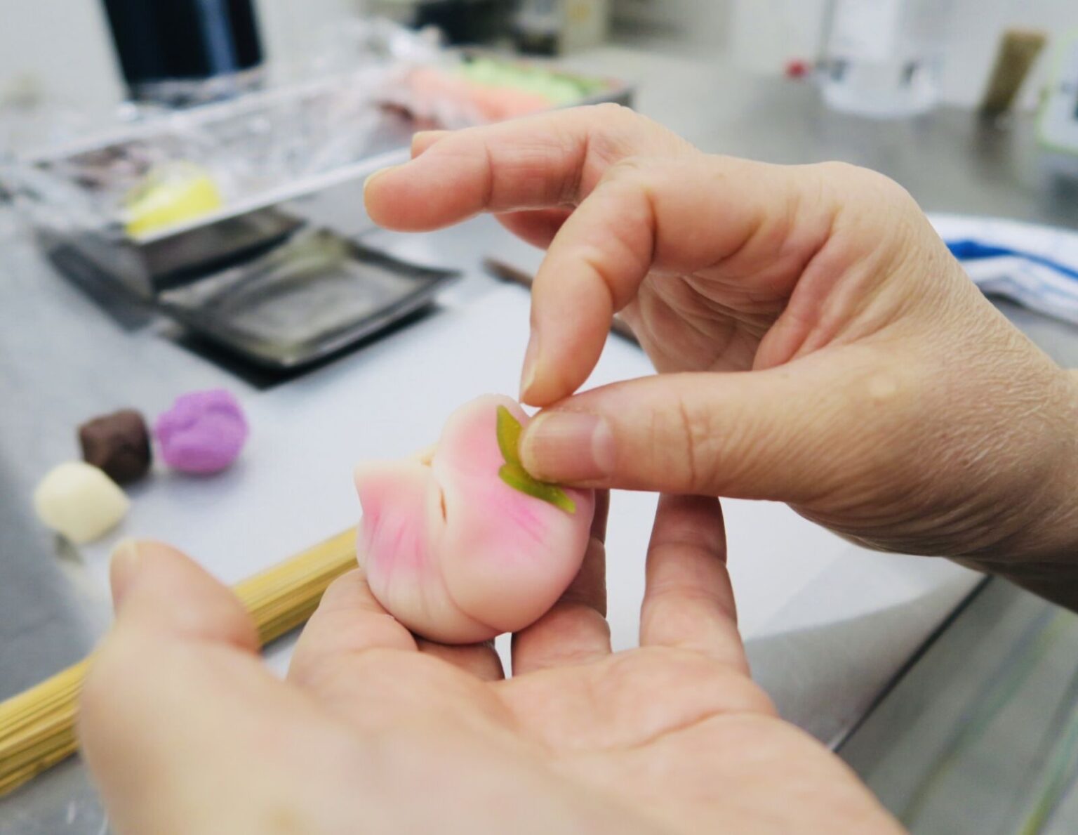 1-Day Tour from Nagoya: Wagashi Workshop & Matcha Tea Field Tour - Snow ...