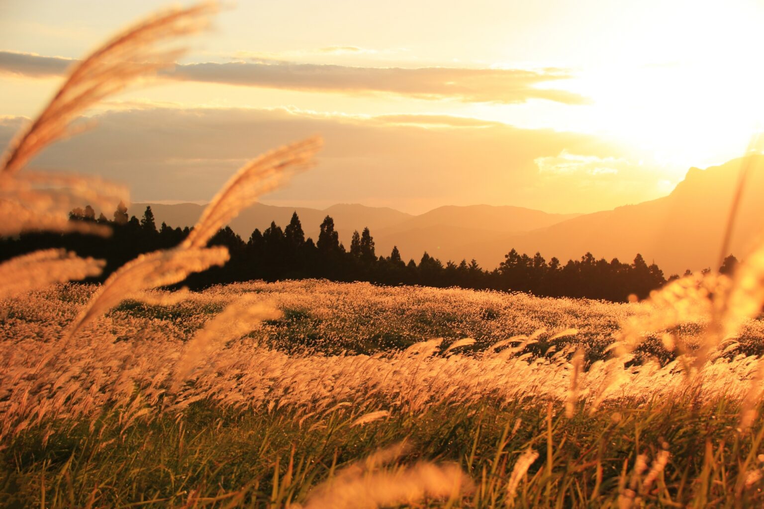 Soni Highlands - Snow Monkey Resorts