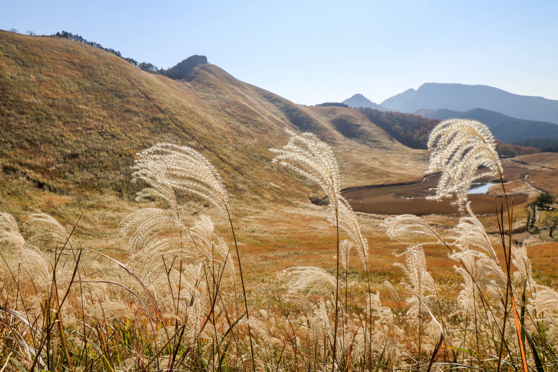 Soni Highlands - Snow Monkey Resorts