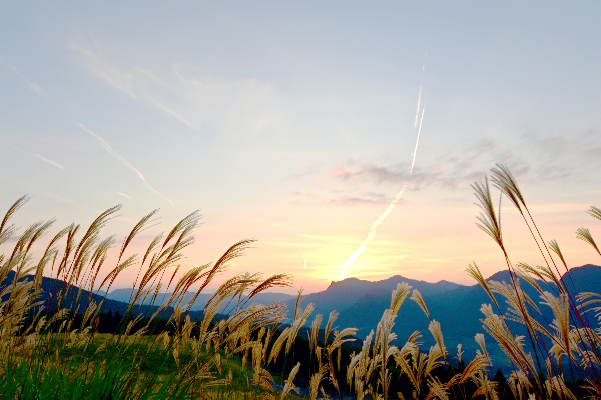 1-Day Tour from Nagoya: Soni Highlands & Akame 48 Waterfalls Hike ...