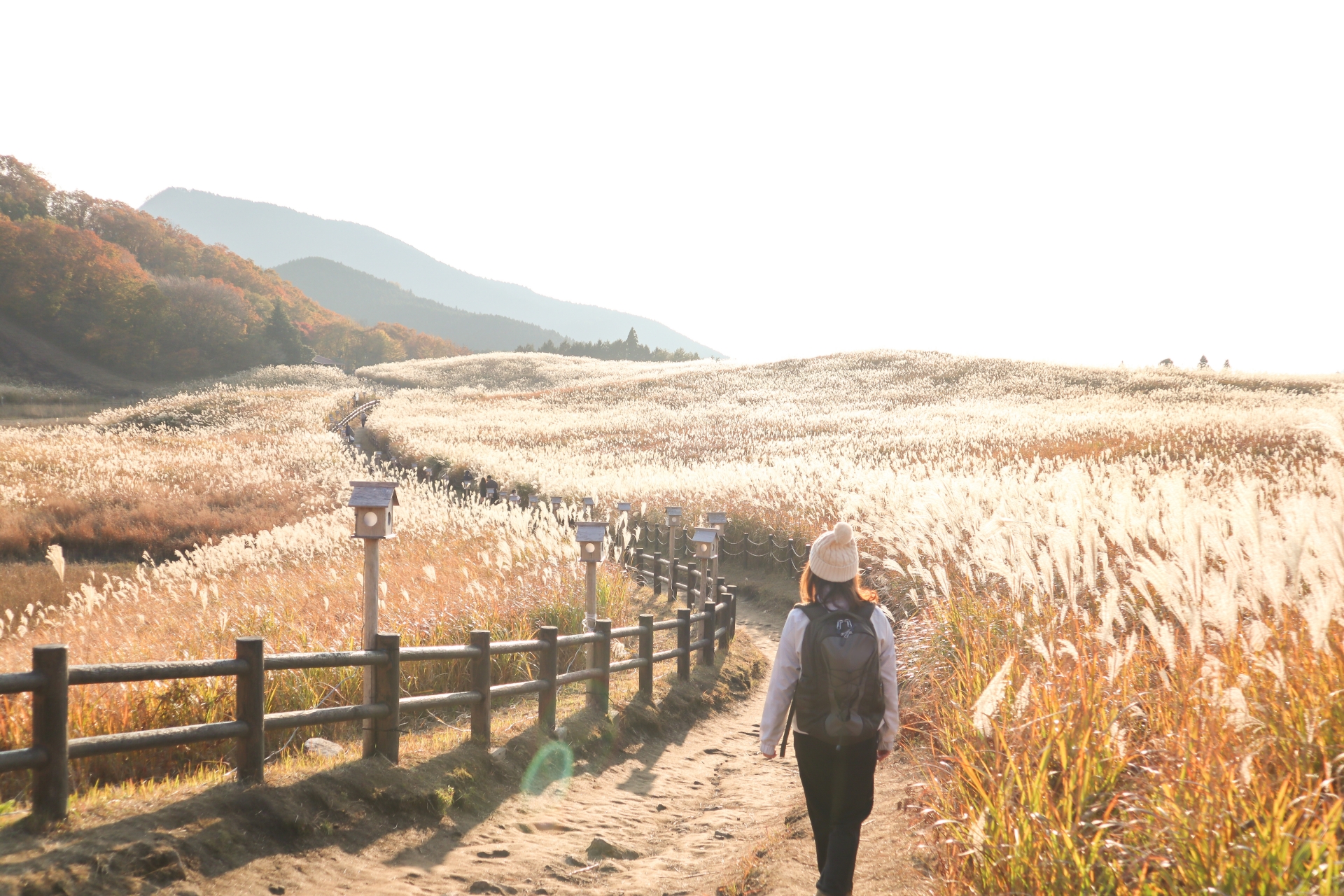 1-Day Tour from Nagoya: Soni Highlands & Akame 48 Waterfalls Hike ...