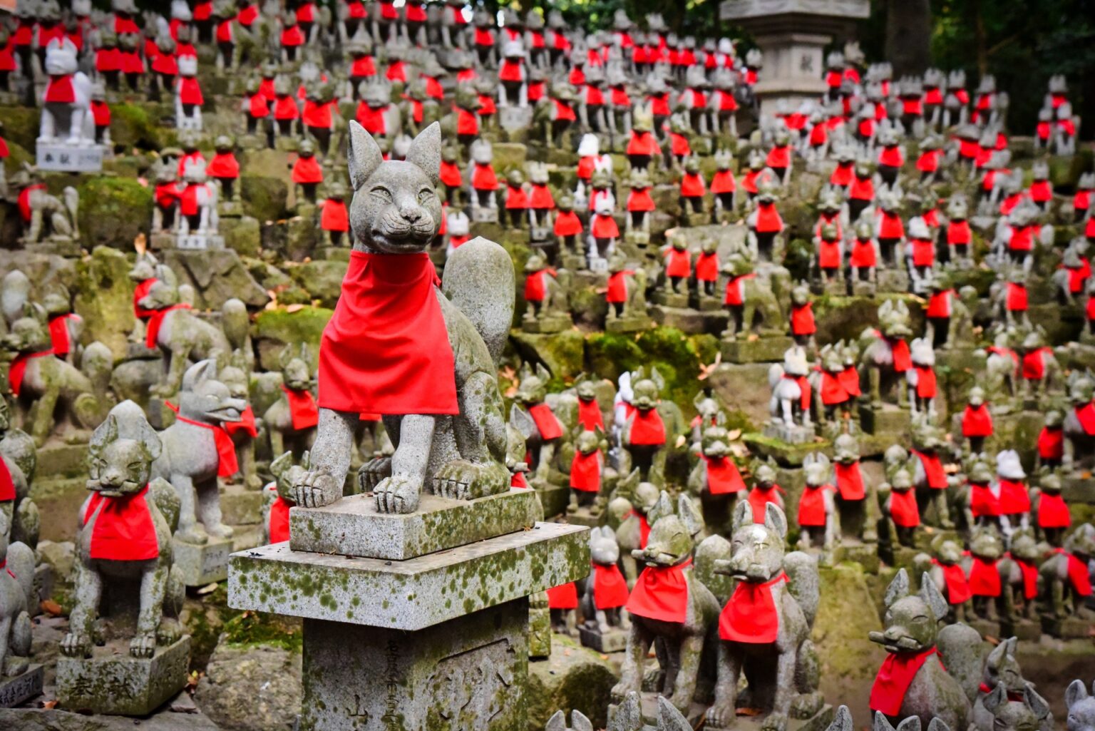 Toyokawa Inari (Myogonji Temple): The Shrine of One Thousand Foxes ...