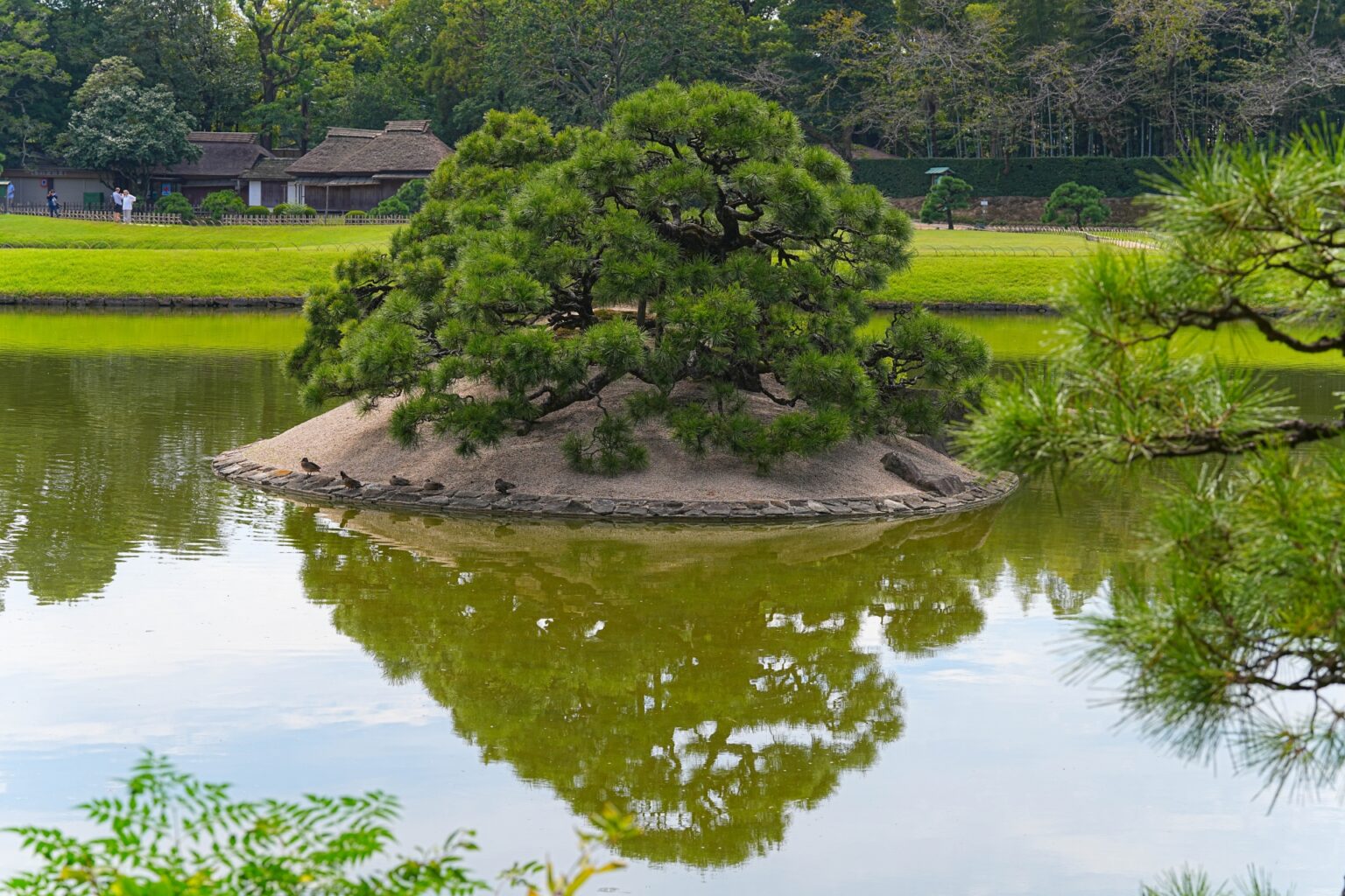 1-Day Okayama Tour: Castle, Korakuen Garden, and Historic Townscape of ...