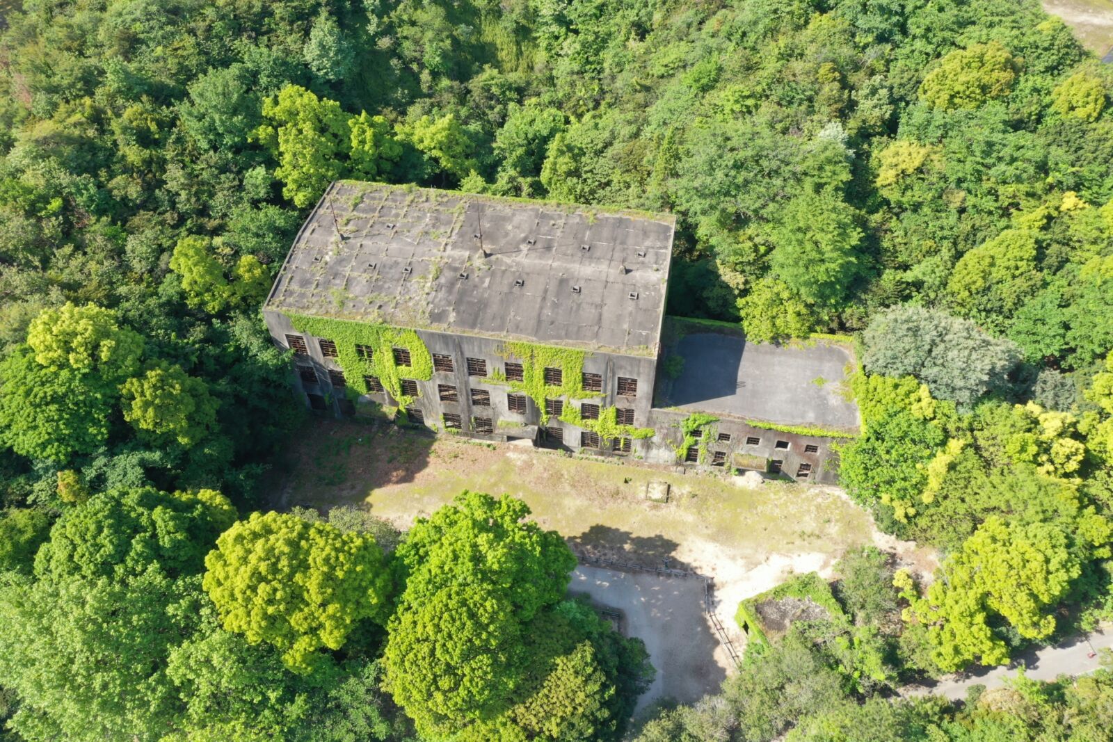 Rabbit Island - Snow Monkey Resorts