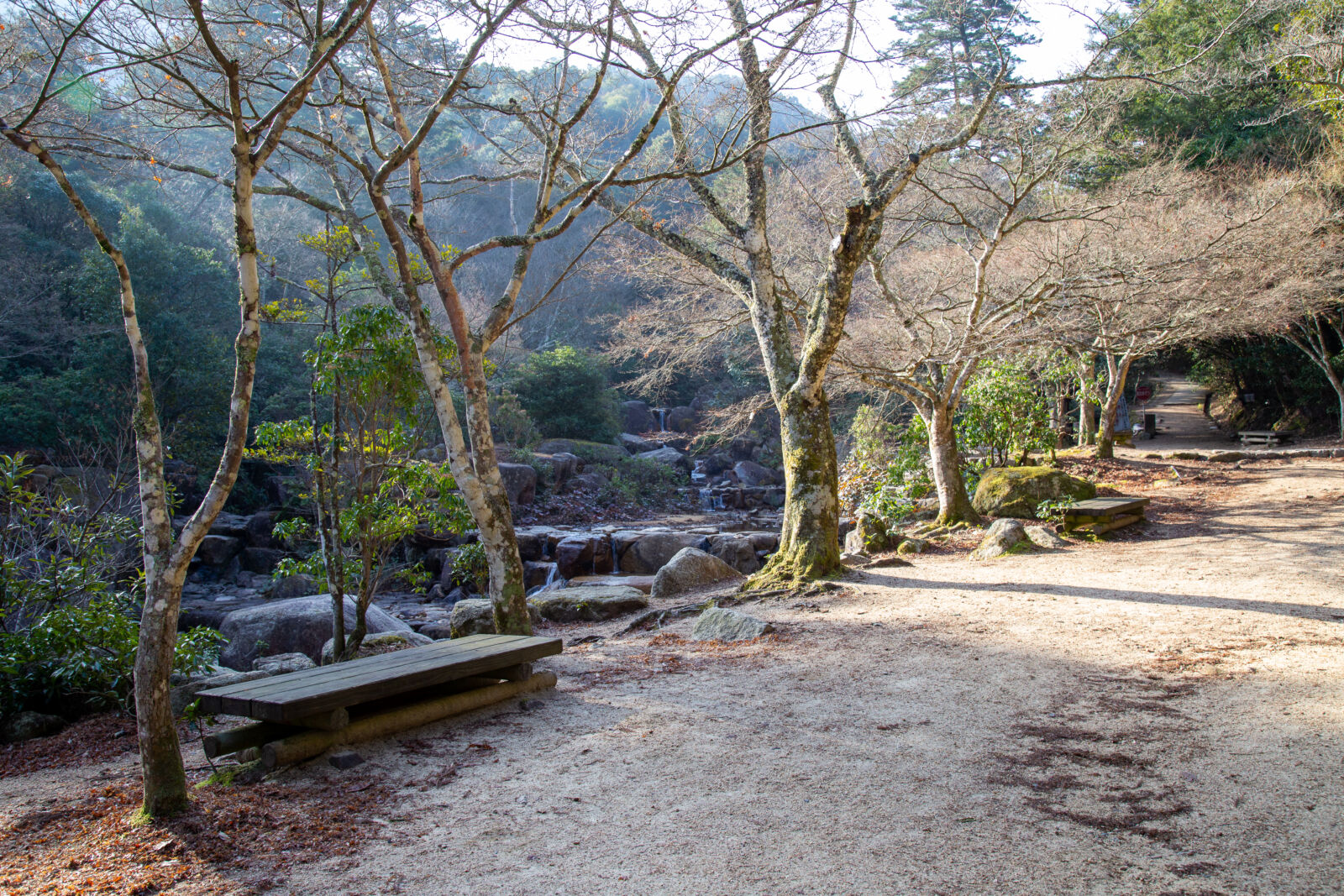 Exploring Mount Misen & Miyajima Ropeway - Snow Monkey Resorts