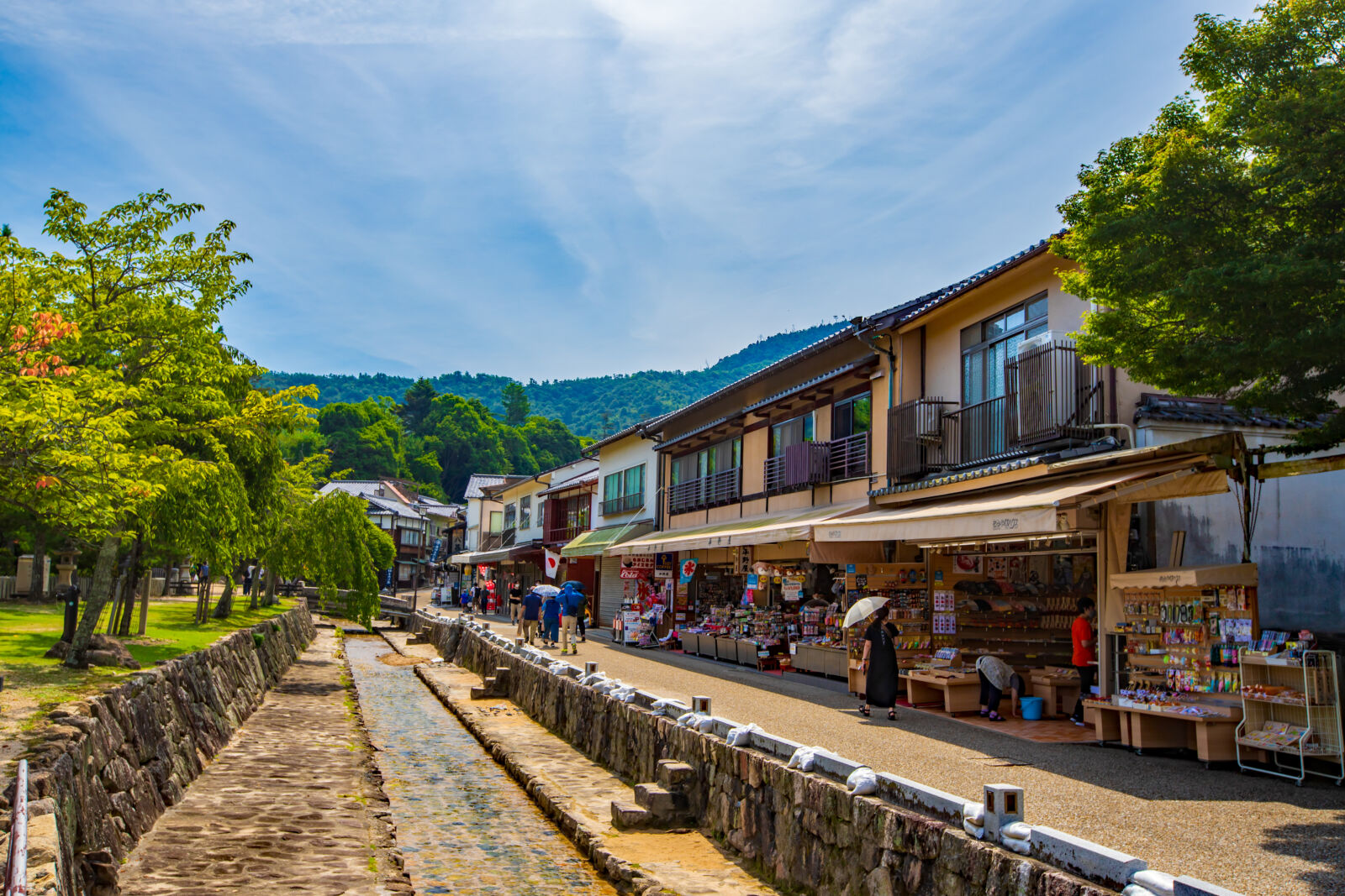 All Miyajima Island Tours in 2025/2026 - Snow Monkey Resorts