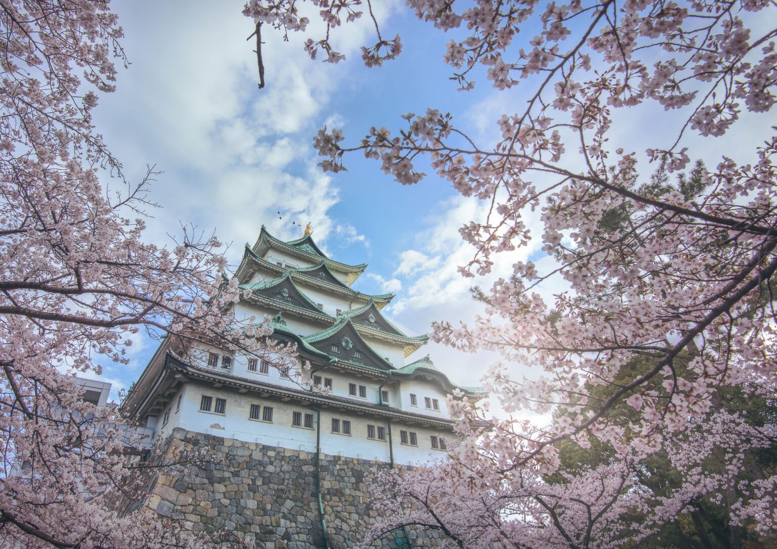 Best Seasons for Travel in Nagoya: Cherry Blossoms, Autumn Leaves ...