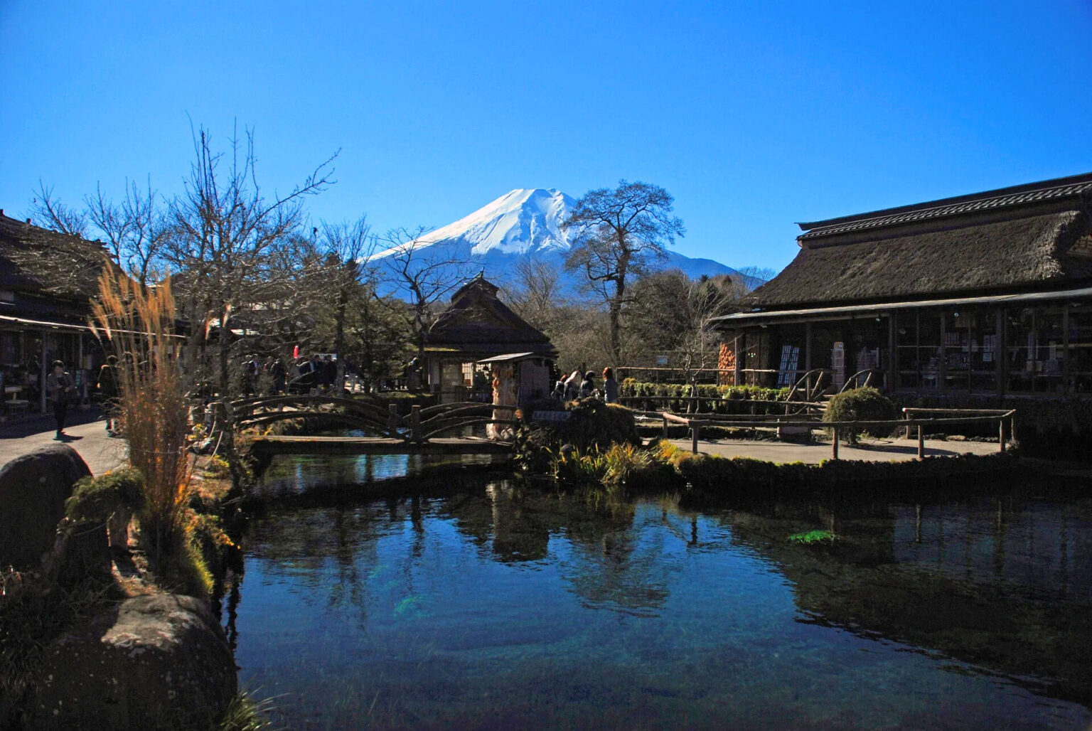 1 Day Tour : Mount Fuji and Hakone – Snow Monkey Resorts