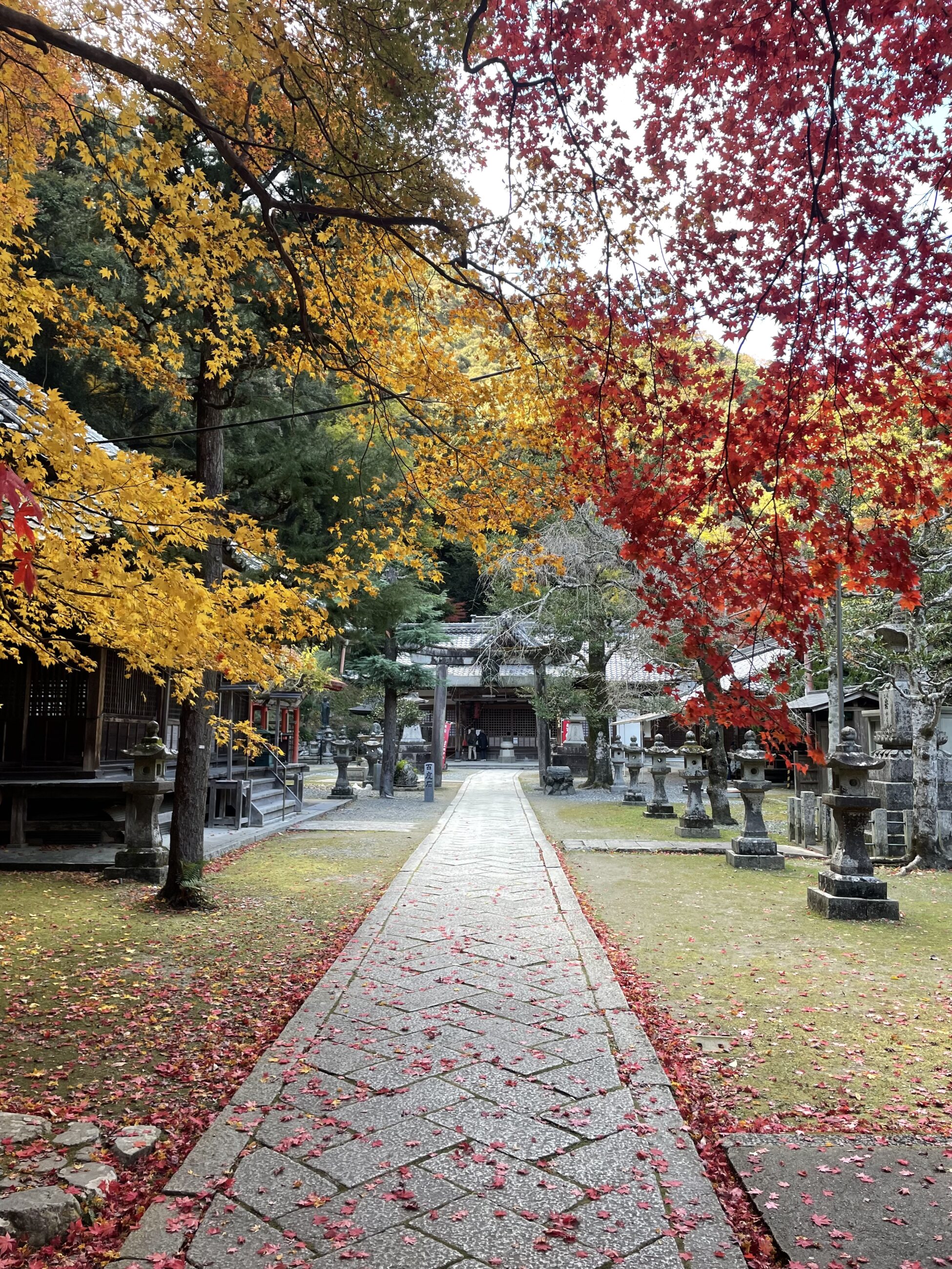 Minoh Falls and Minoh Park - Snow Monkey Resorts