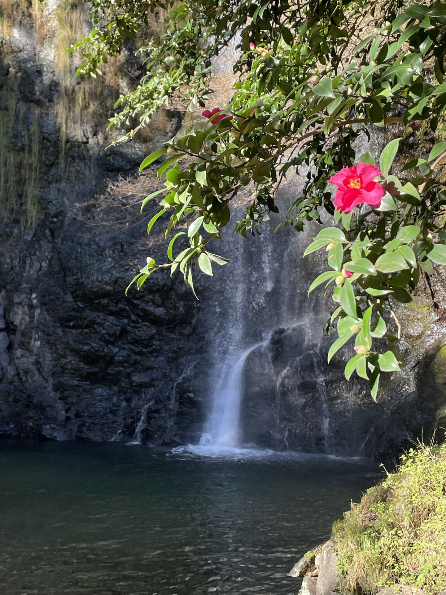 Minoh Falls and Minoh Park - Snow Monkey Resorts
