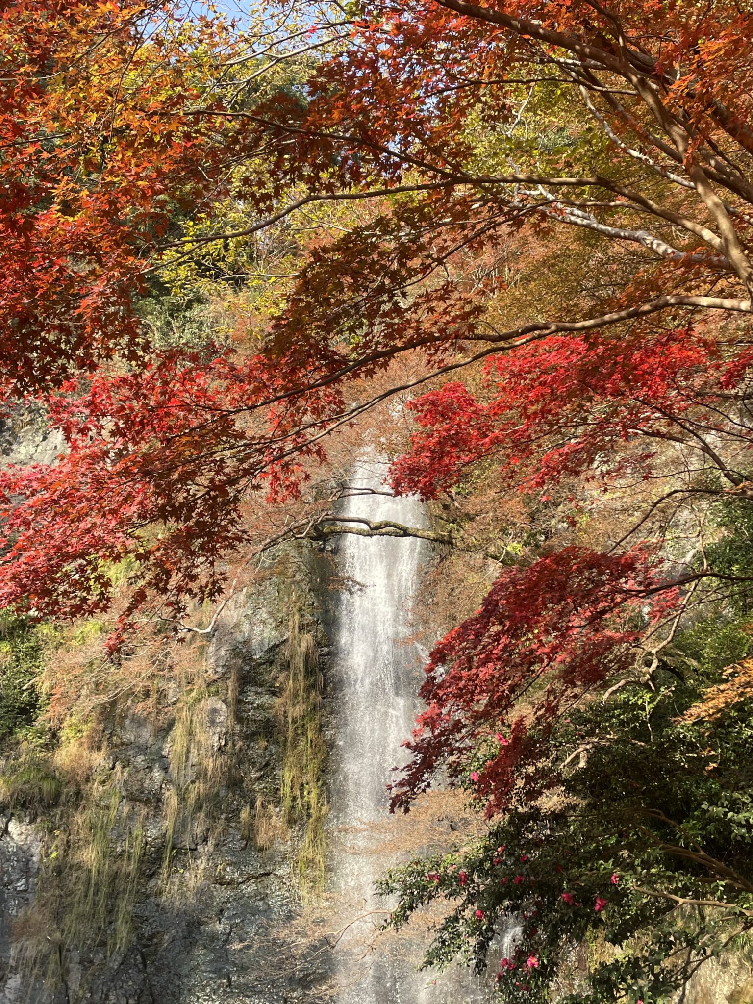 Minoh Falls and Minoh Park - Snow Monkey Resorts