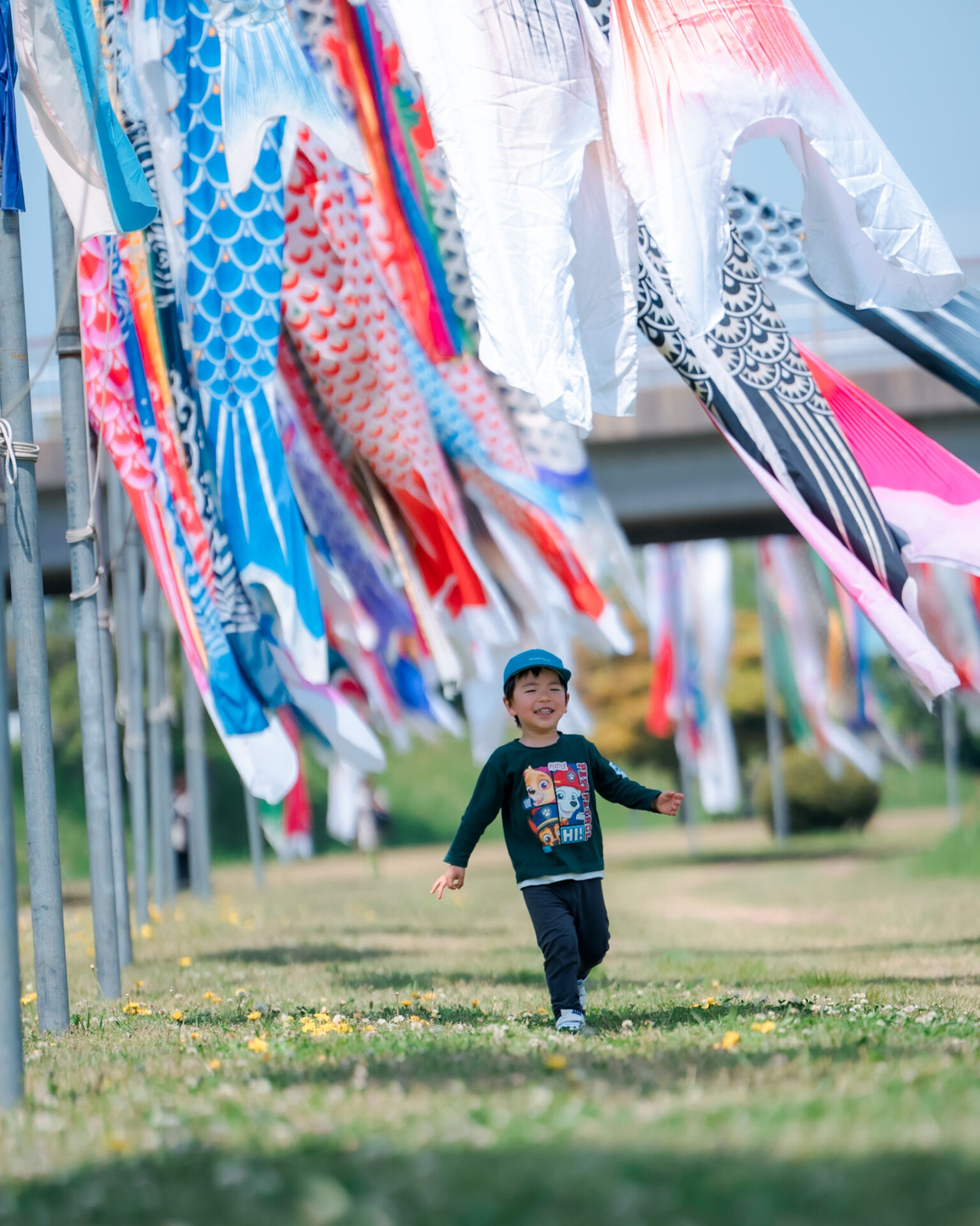 Things To Do in Nagoya with Kids - Snow Monkey Resorts