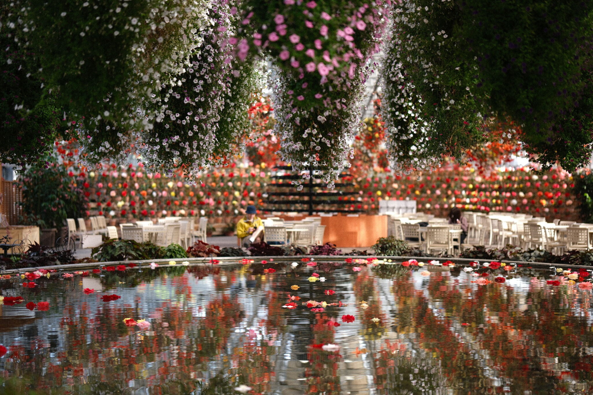 Nagoya's Largest Amusement Park: Nagashima Spa Land & Nabana no Sato ...